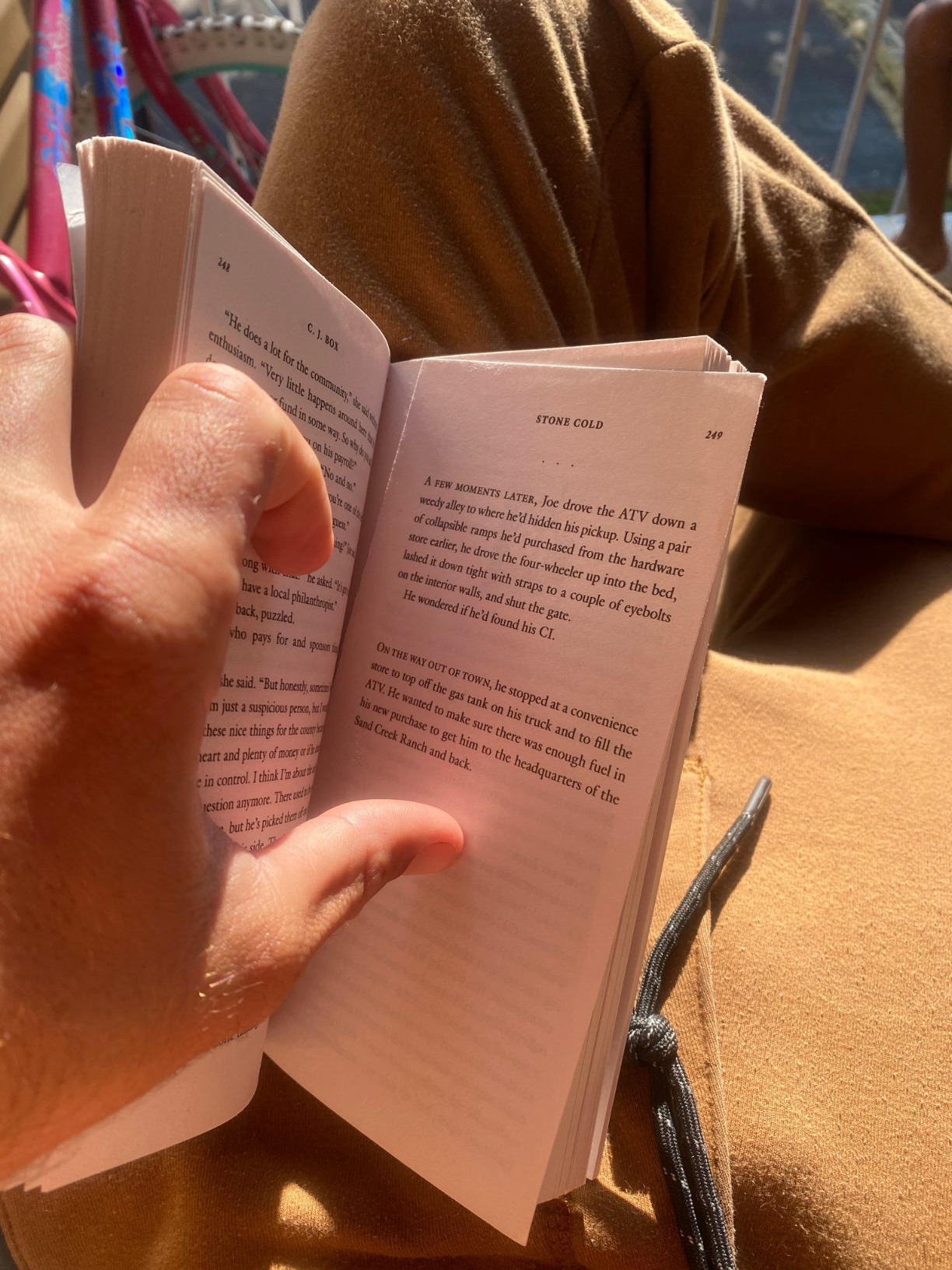 Amazon.com: Stone Cold (A Joe Pickett Novel Book 14) eBook : Box, C. J ...