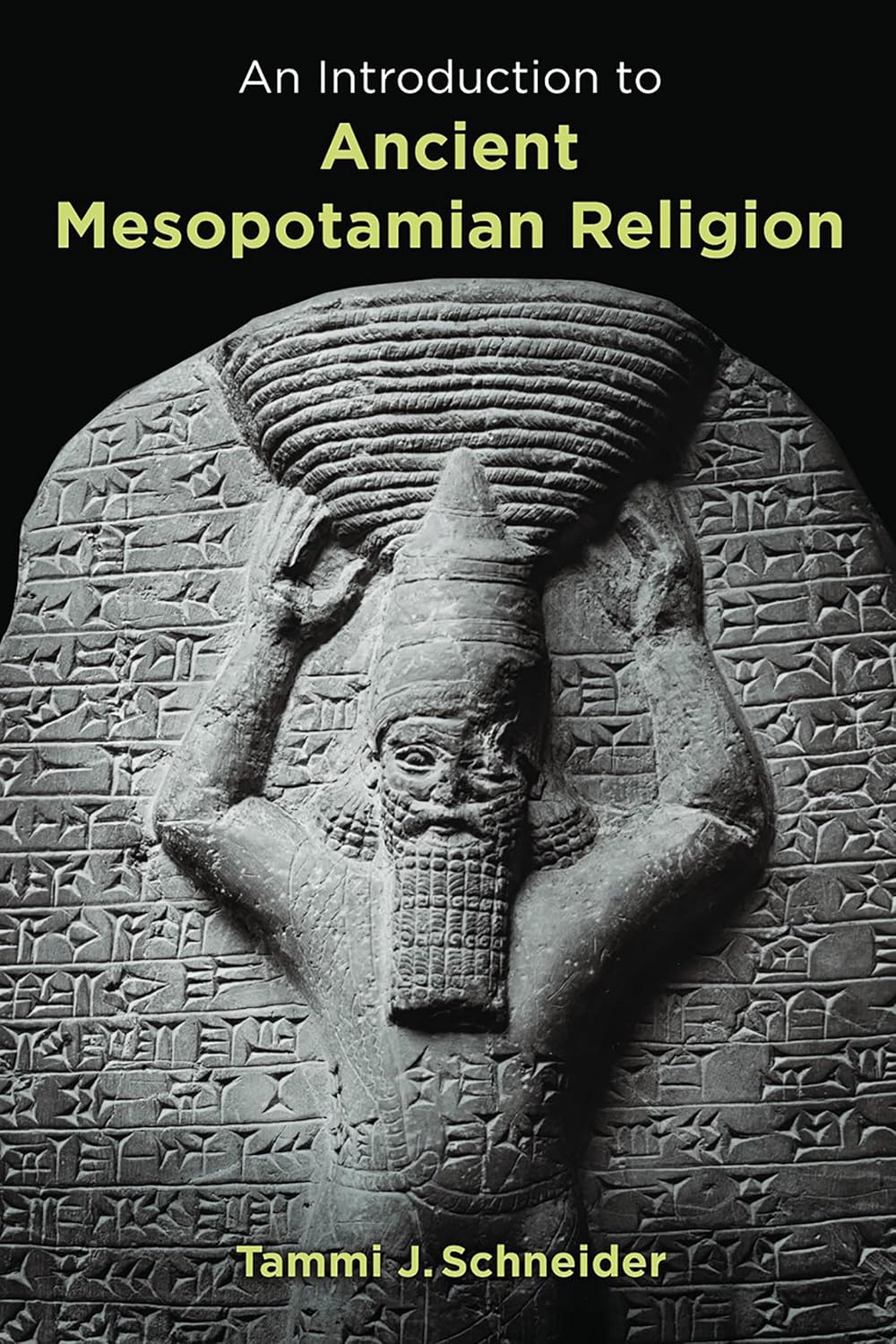 An Introduction to Ancient Mesopotamian Religion: Schneider, Tammi J ...