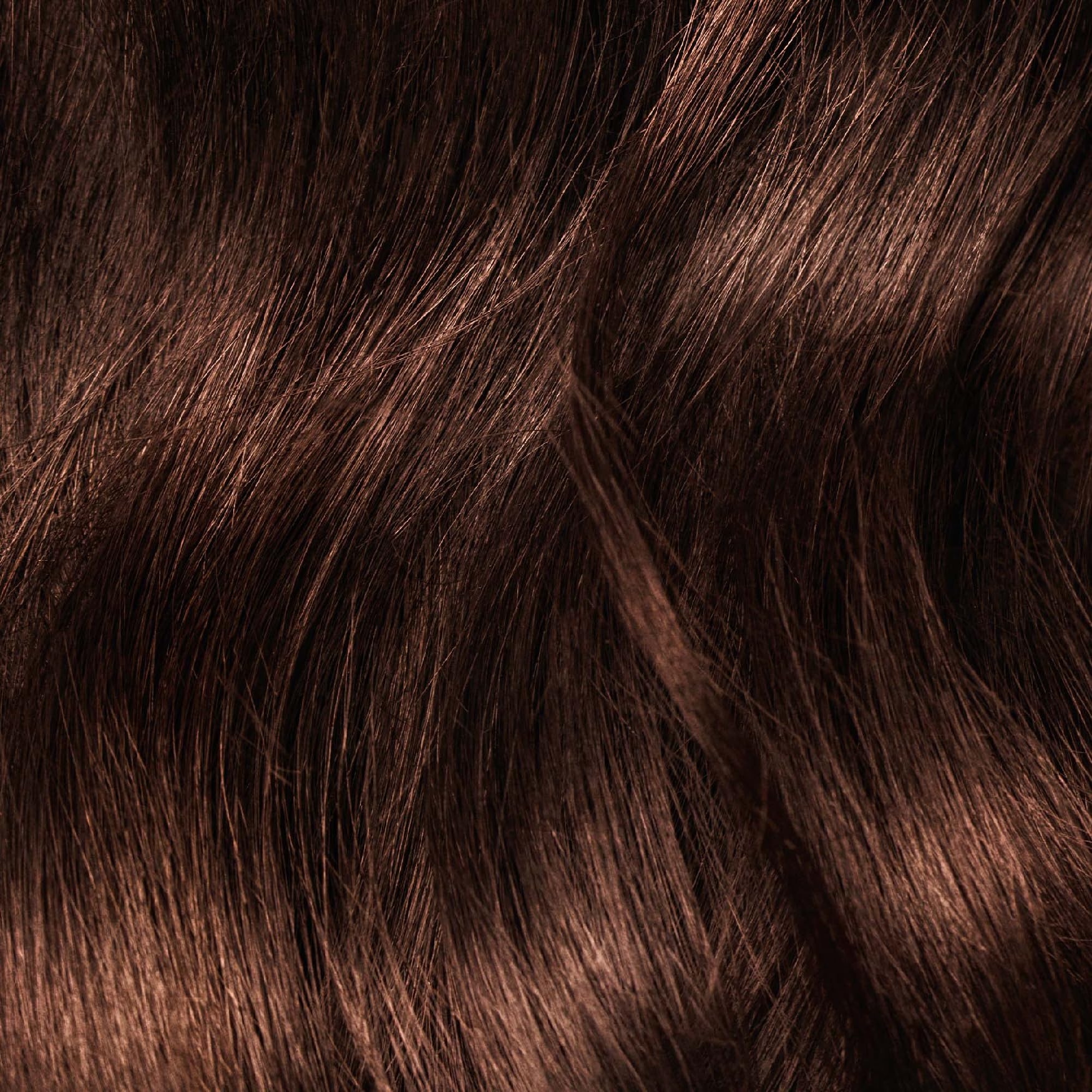 Snapklik.com : Permanent Hair Color Kit 5GM Warm Up - Golden Mahogany ...