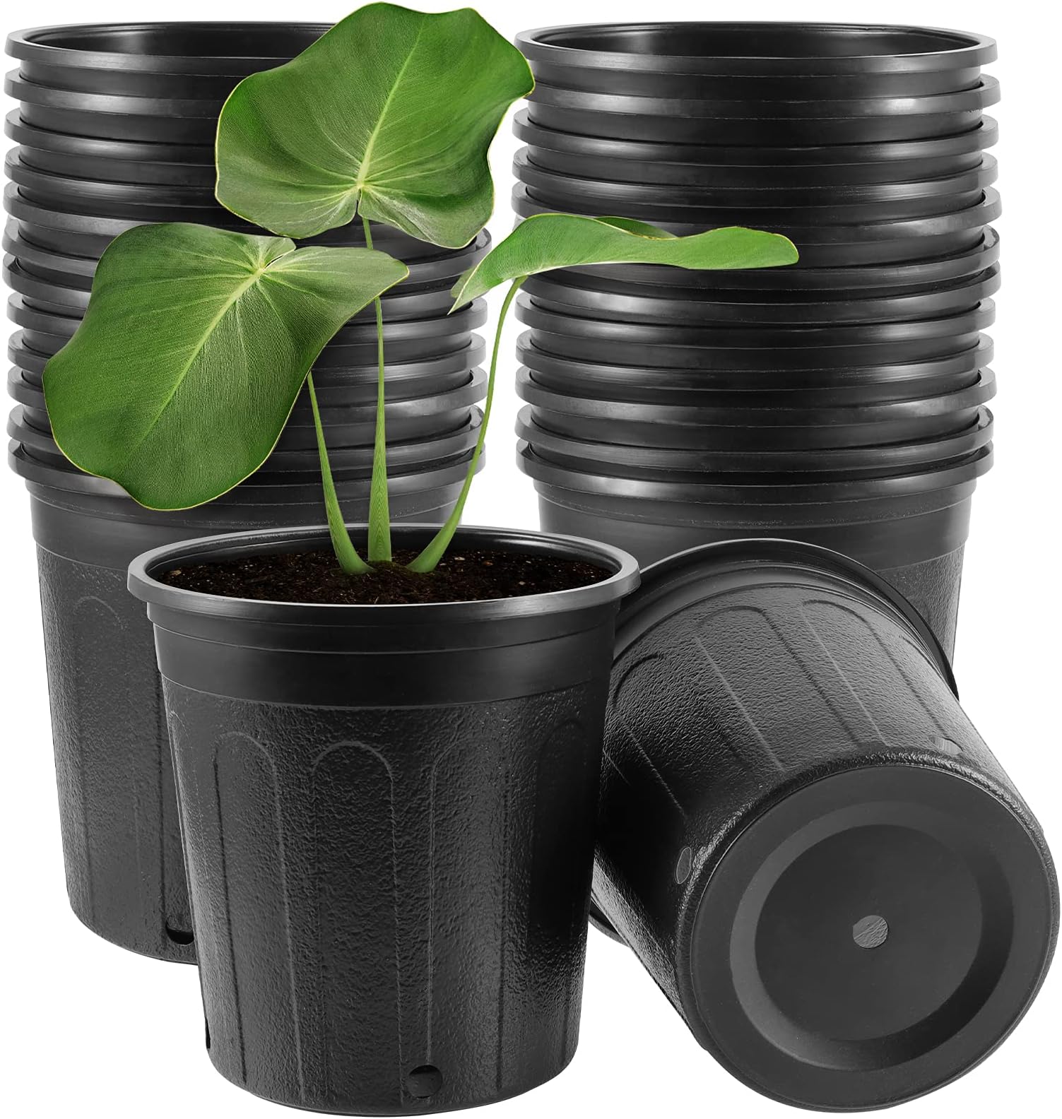 Amazon.com: Calipots 5-Pack 1 Gallon Premium Black Plastic Nursery ...