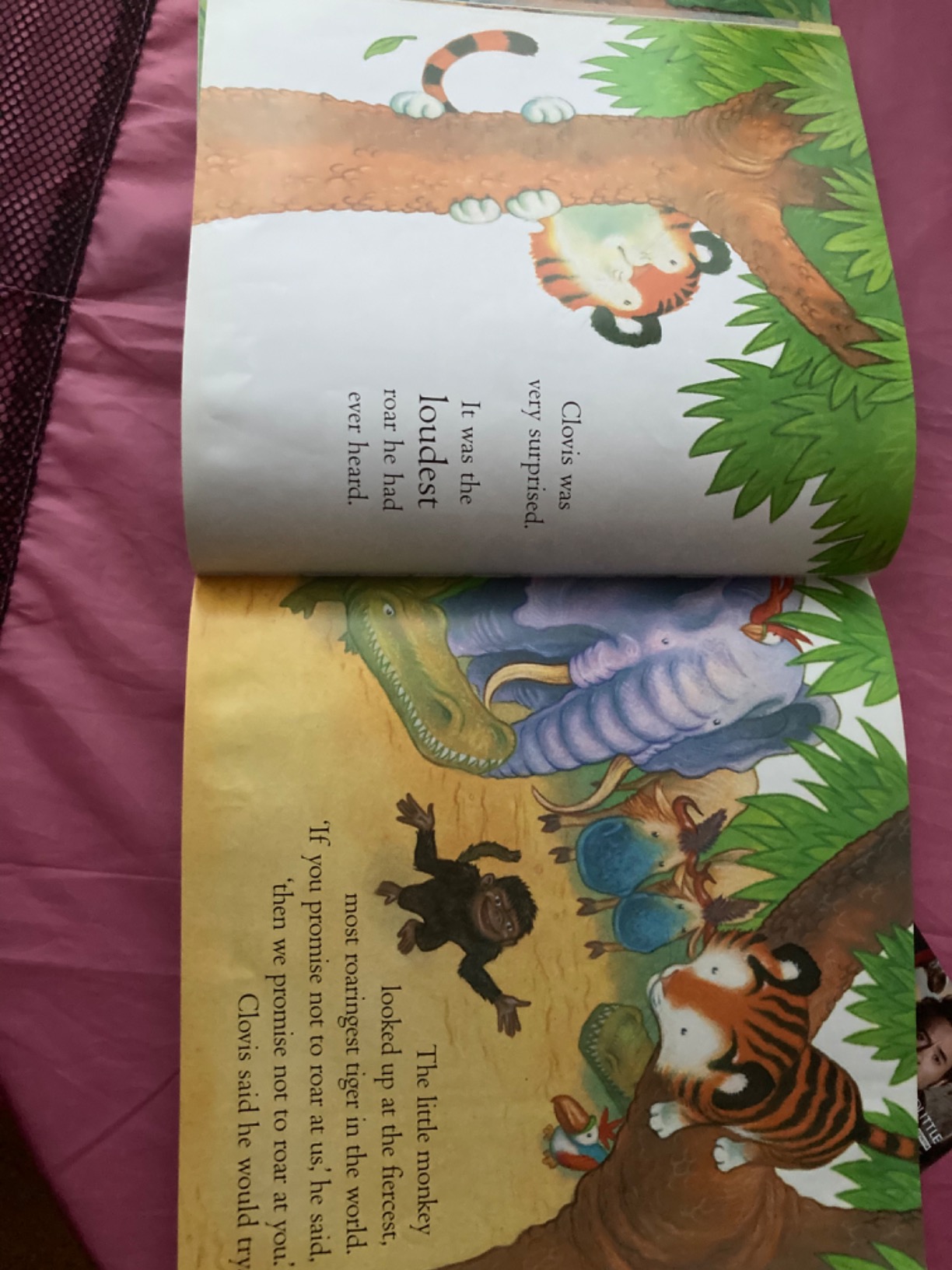 The Loudest Roar: Board Book : Taylor, Thomas: Amazon.co.uk: Books