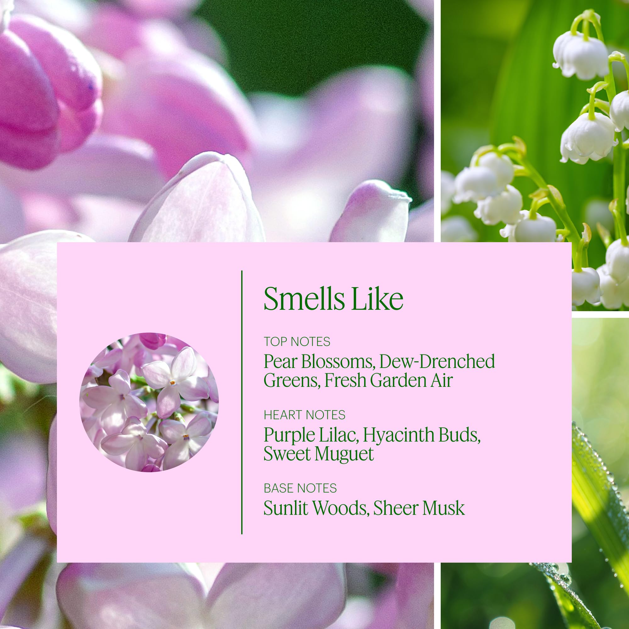 Snapklik.com : Aera Mini Spring Fresh Home Fragrance Scent Refill ...