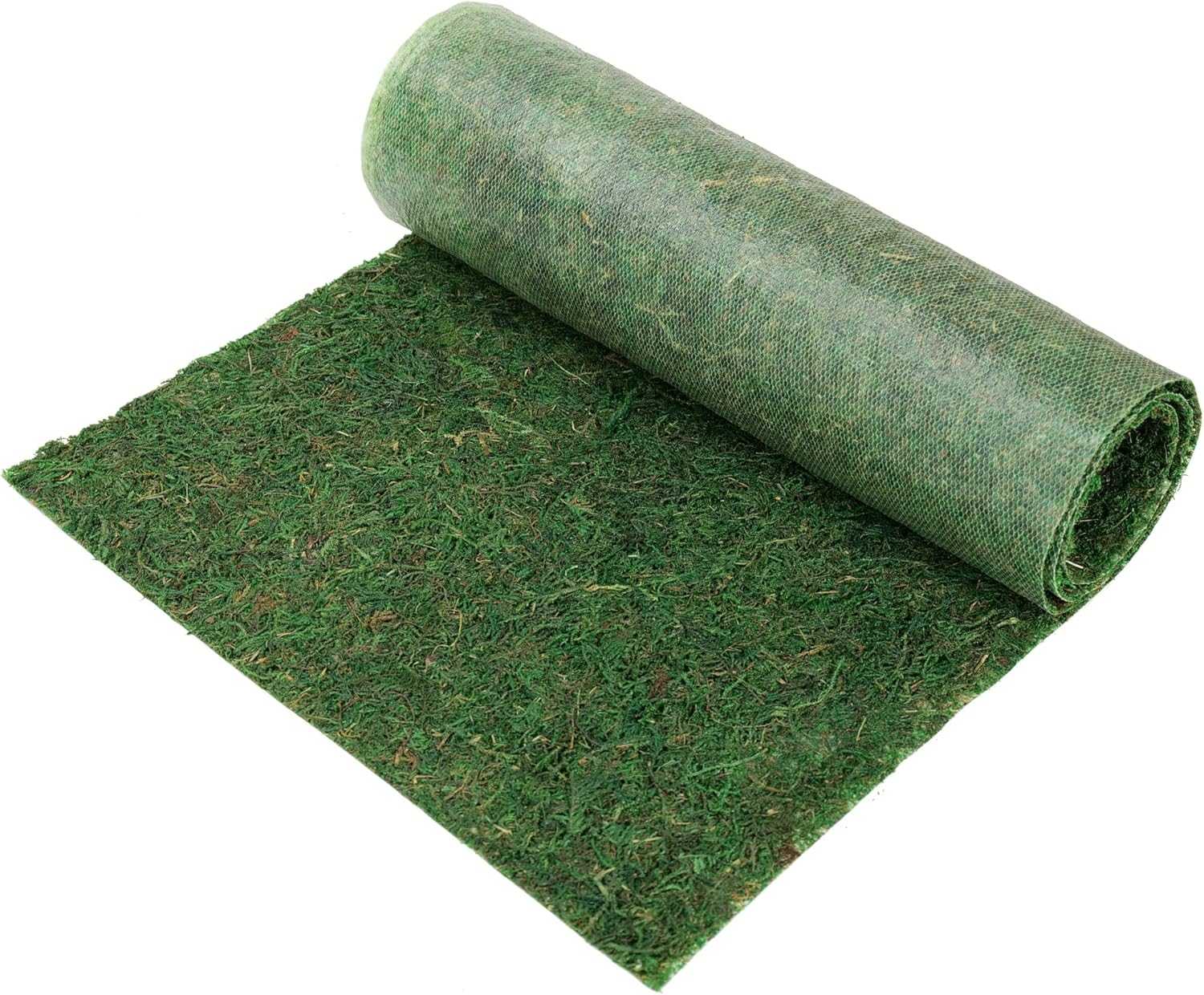 Amazon.com: FROOGI Moss Roll, Preserved Moss Table Runner for Crafts ...