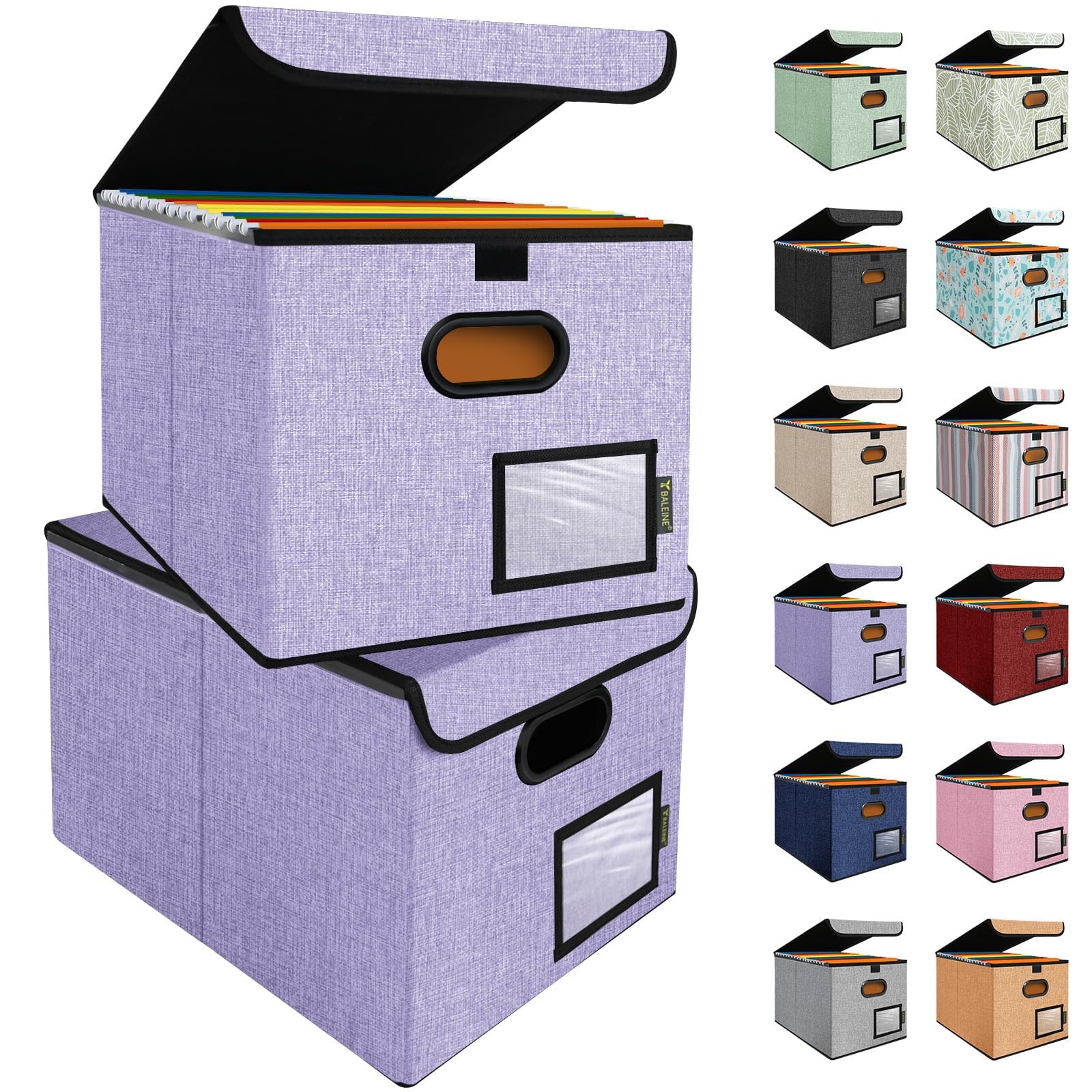 Amazon.com: BALEINE File Organizer Box with Lid, Collapsible File ...