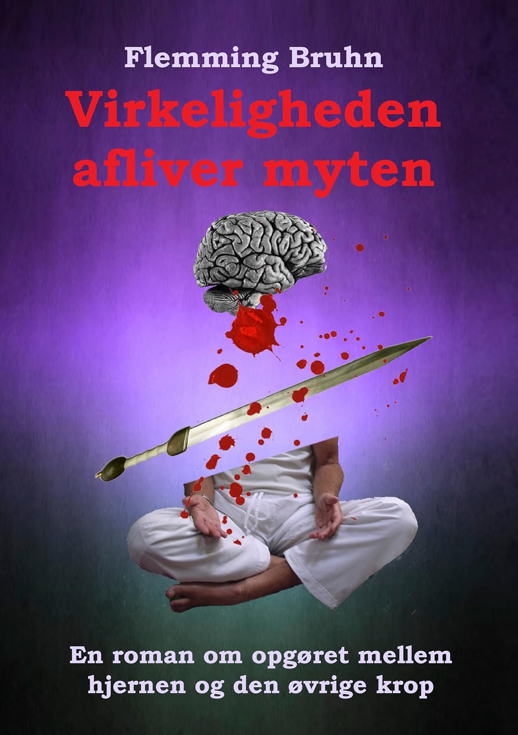 Virkeligheden afliver myten: En roman om opgøret mellem hjernen og den ...