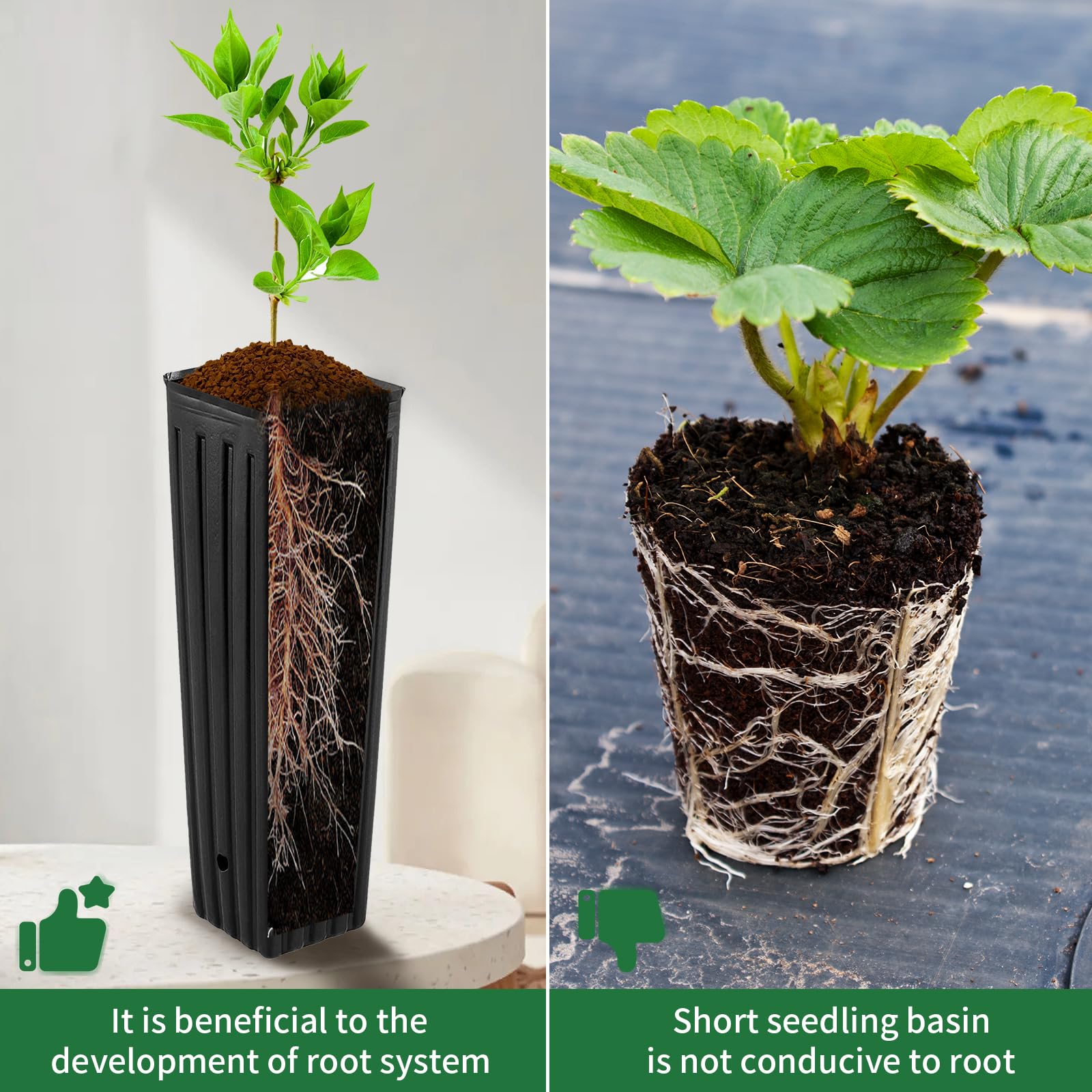 Nursery Tree Containers Commercial Planters & Plant Containers Large