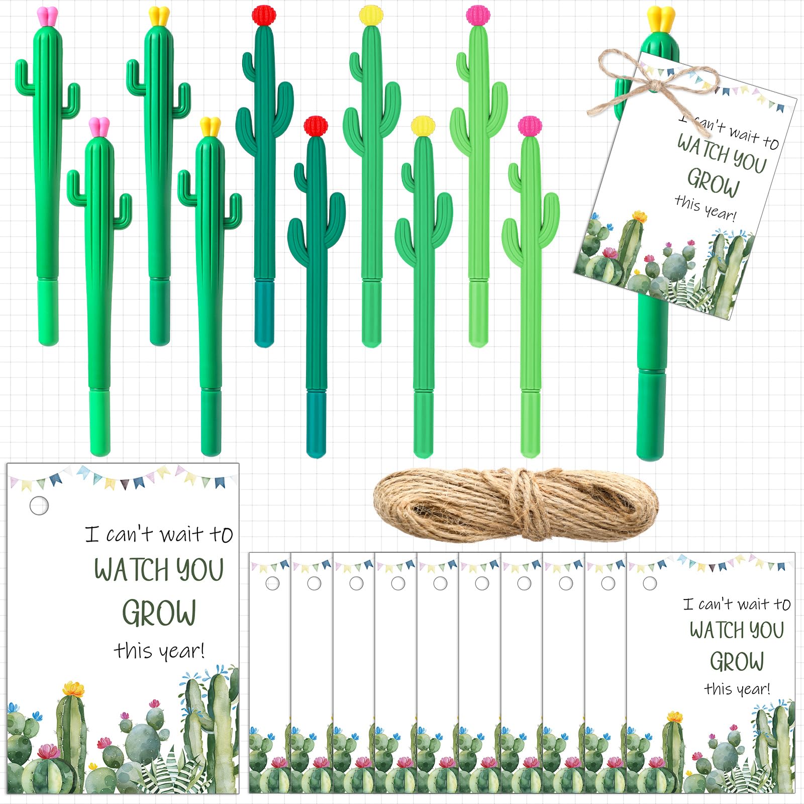 Amazon.com: 50 Set Back to School Gifts 50 Cactus Shaped Roller Pens 50 ...