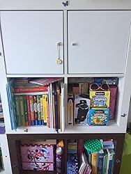 IKEA Kallax Expedit Einsatz mit Tür in Weiß (33 x 33 cm), holz, weiß ...