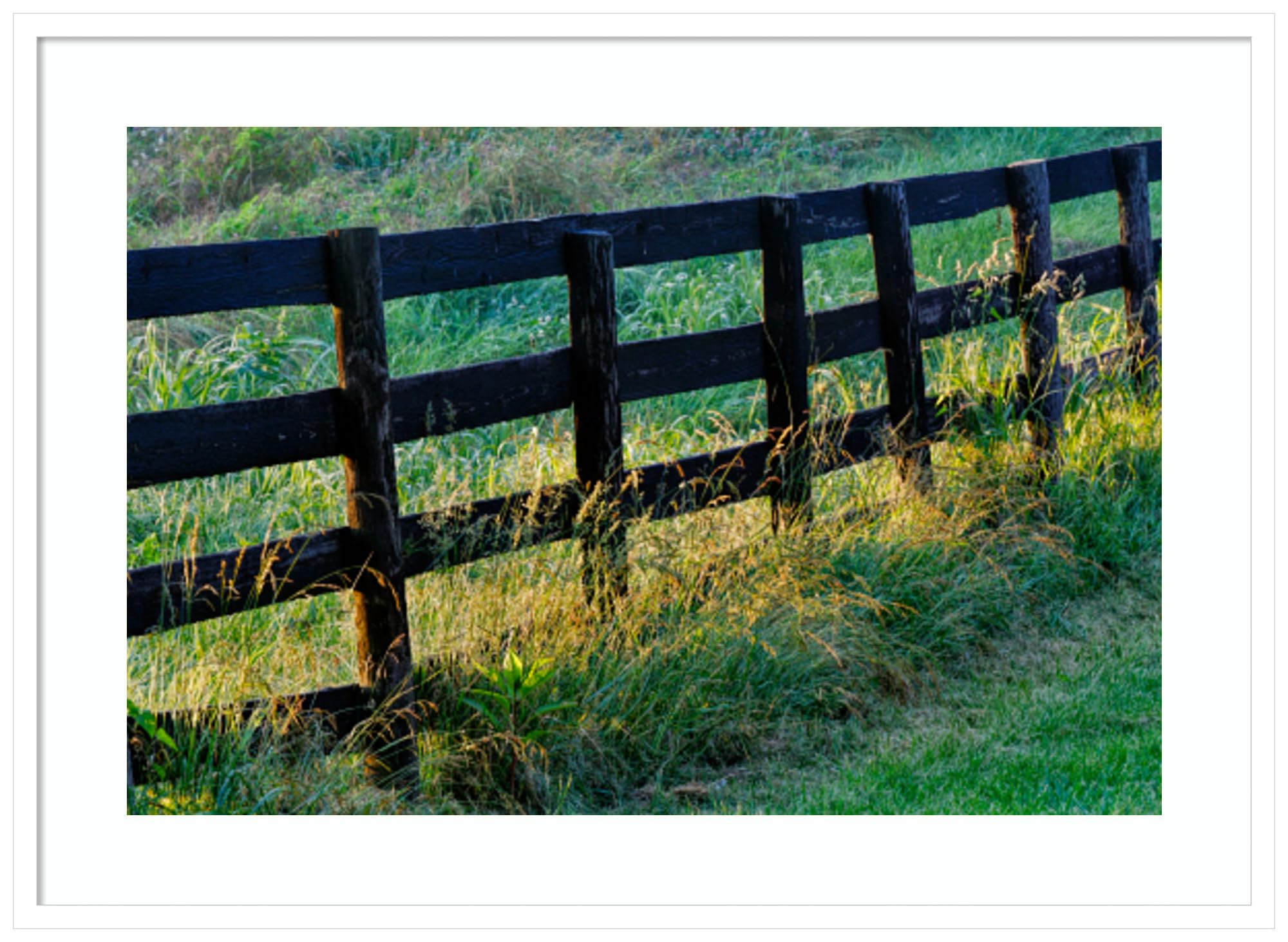 Product Farm Fence