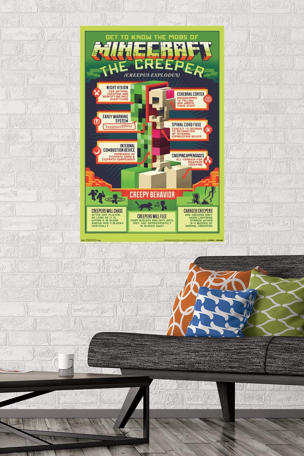 Minecraft Creeper Anatomy Poster
