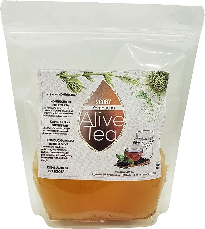 Alive Tea Scoby Kombucha, prepara tu propia Kombucha en casa (entre 2 y ...