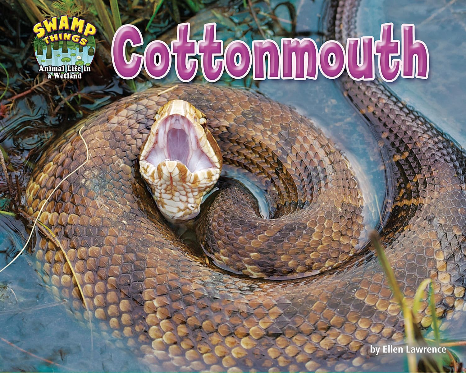 Cottonmouth (Swamp Things: Animal Life in a Wetland): Lawrence, Ellen ...