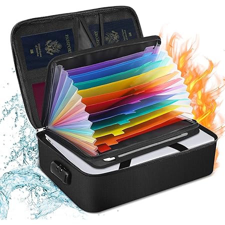 Amazon.com : File Organizer Bag with 13 Pocket Accordion File Folder ...