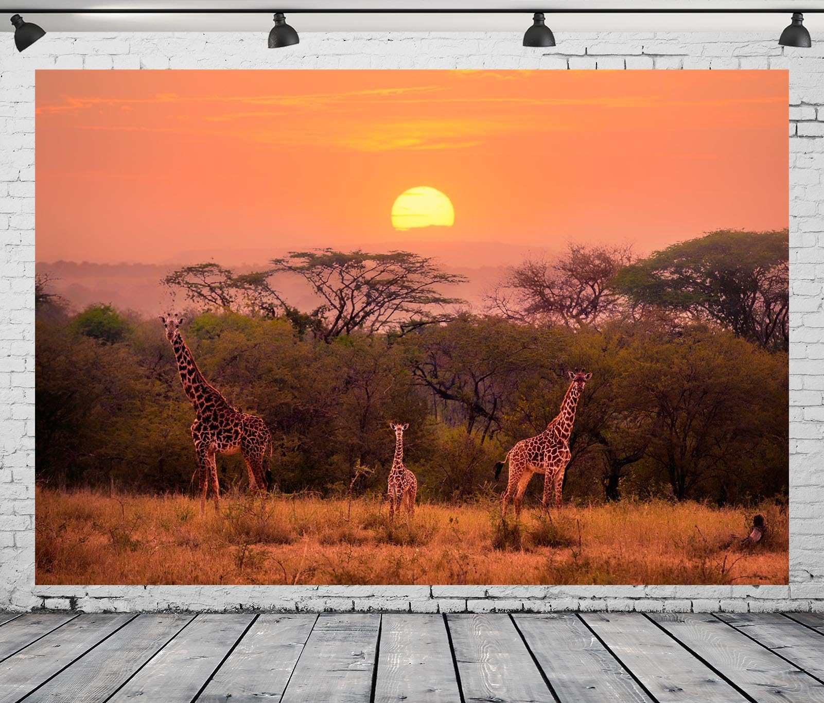 African Safari Landscape Background African Safari Landscapes