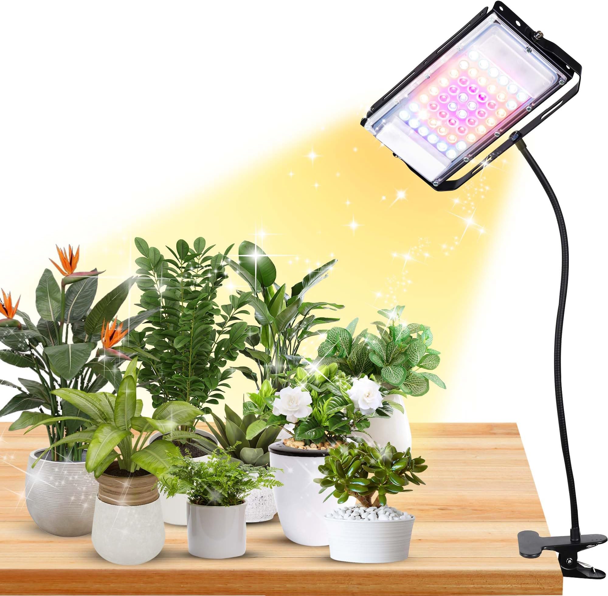 Tageslichtlampe Fr Pflanzen