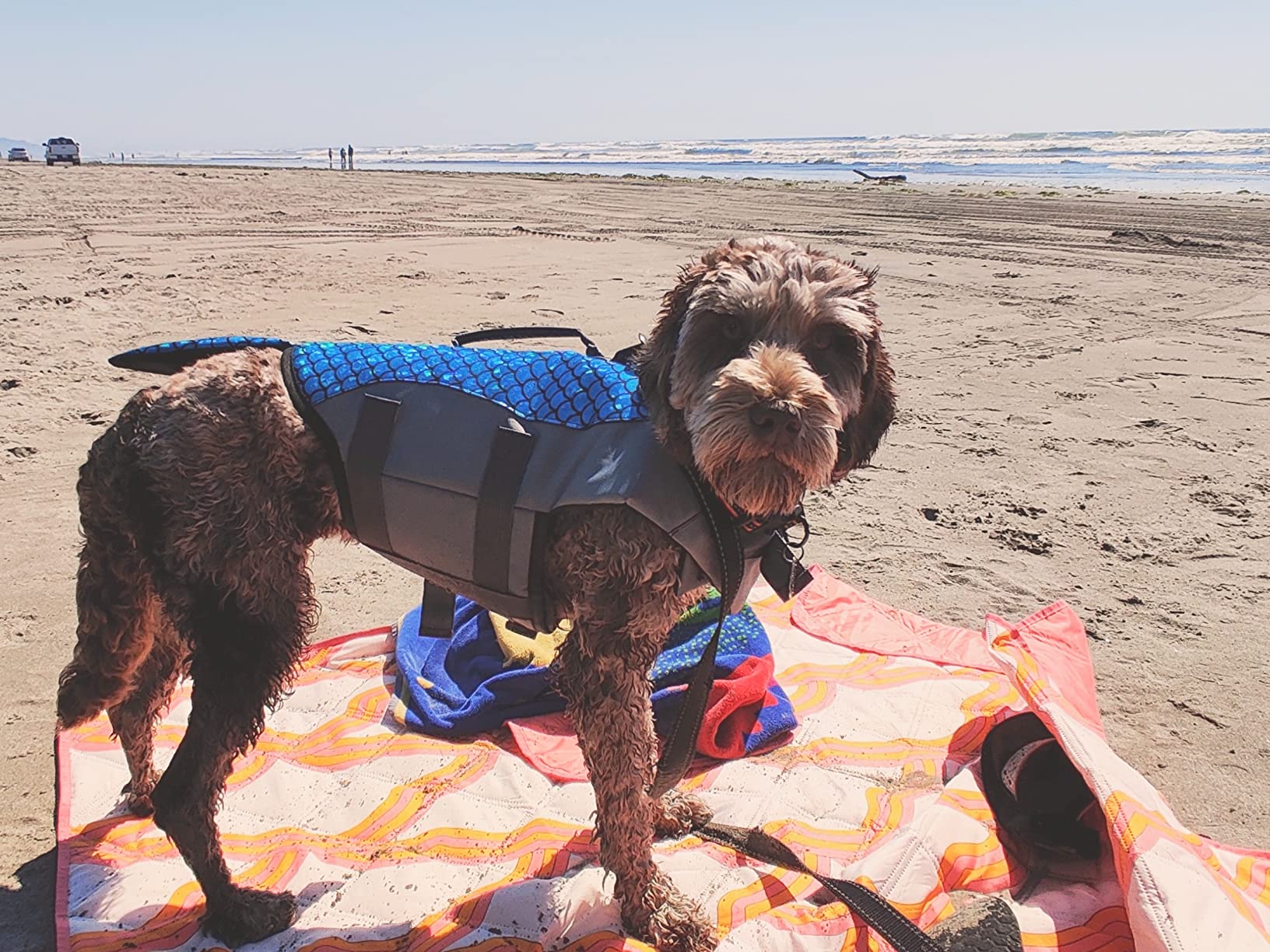 $5/mo - Finance Rozkitch Dog Life Jacket Large, Dog Life Vest for ...