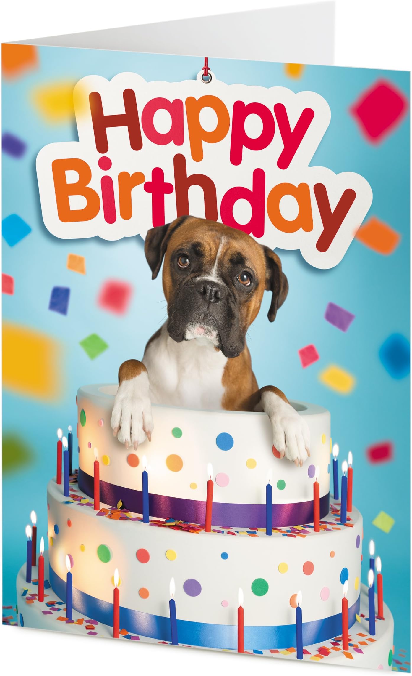 TigerMill Publishing Boxer dog emerges from giant birthday cake ...