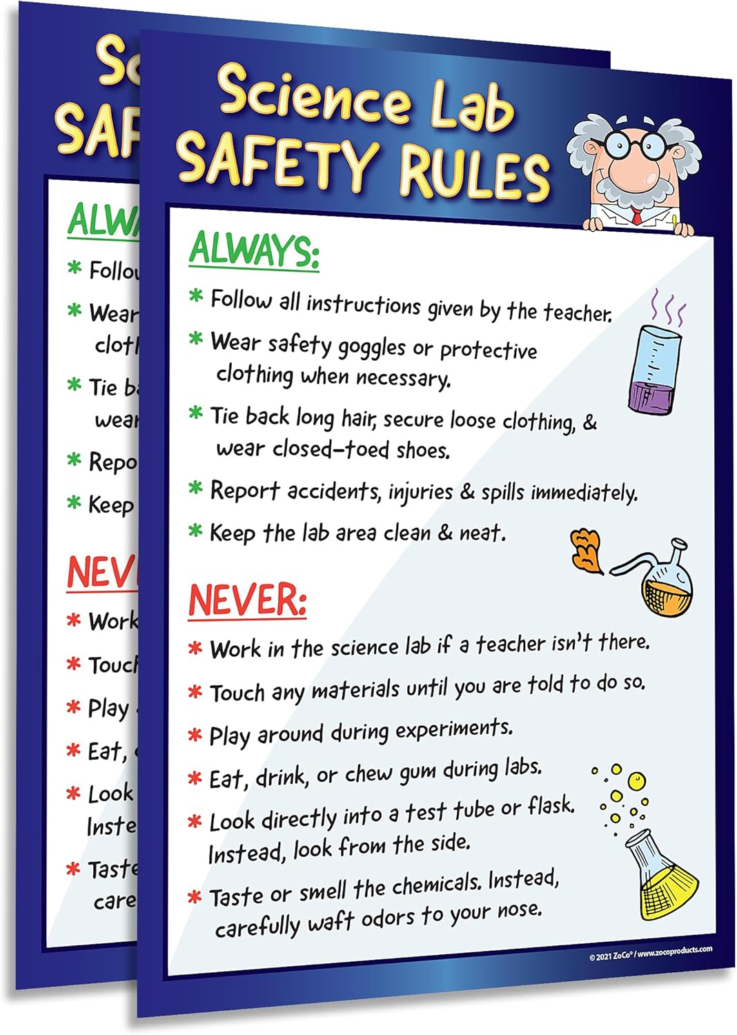 ZOCO – Science Lab Safety Rules Posters (2-Pack) Philippines | Ubuy