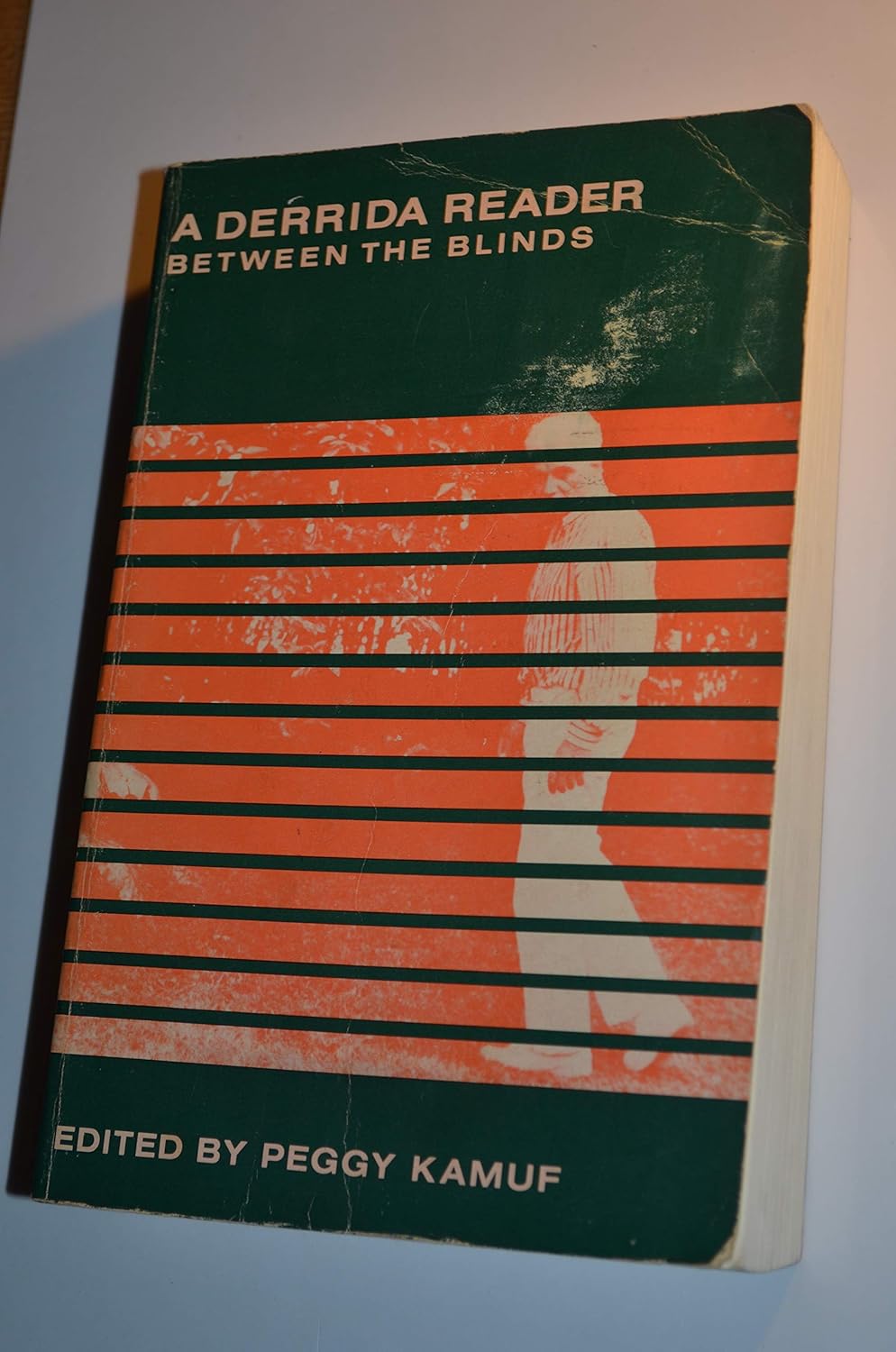 A Derrida Reader: Between the Blinds: Derrida, Jacques: 9780745009926 ...