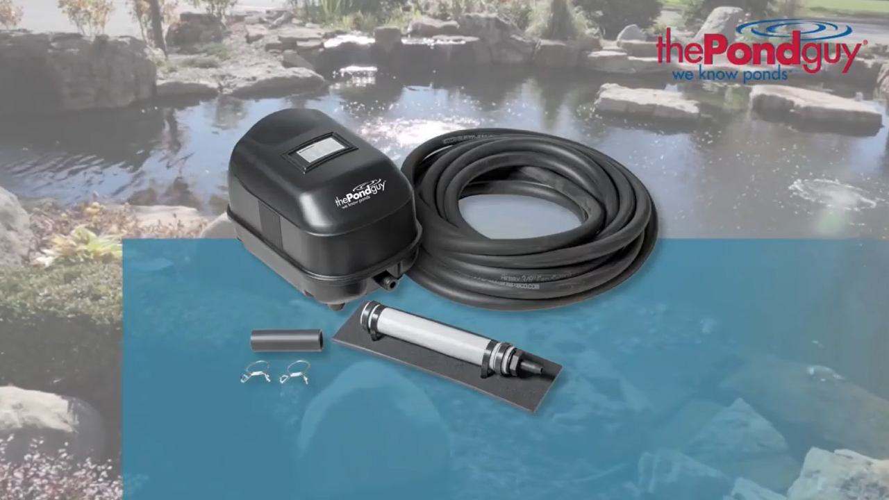 Watch The Pond Guy Pond Aerator Water Garden Aeration Kit on Amazon Live