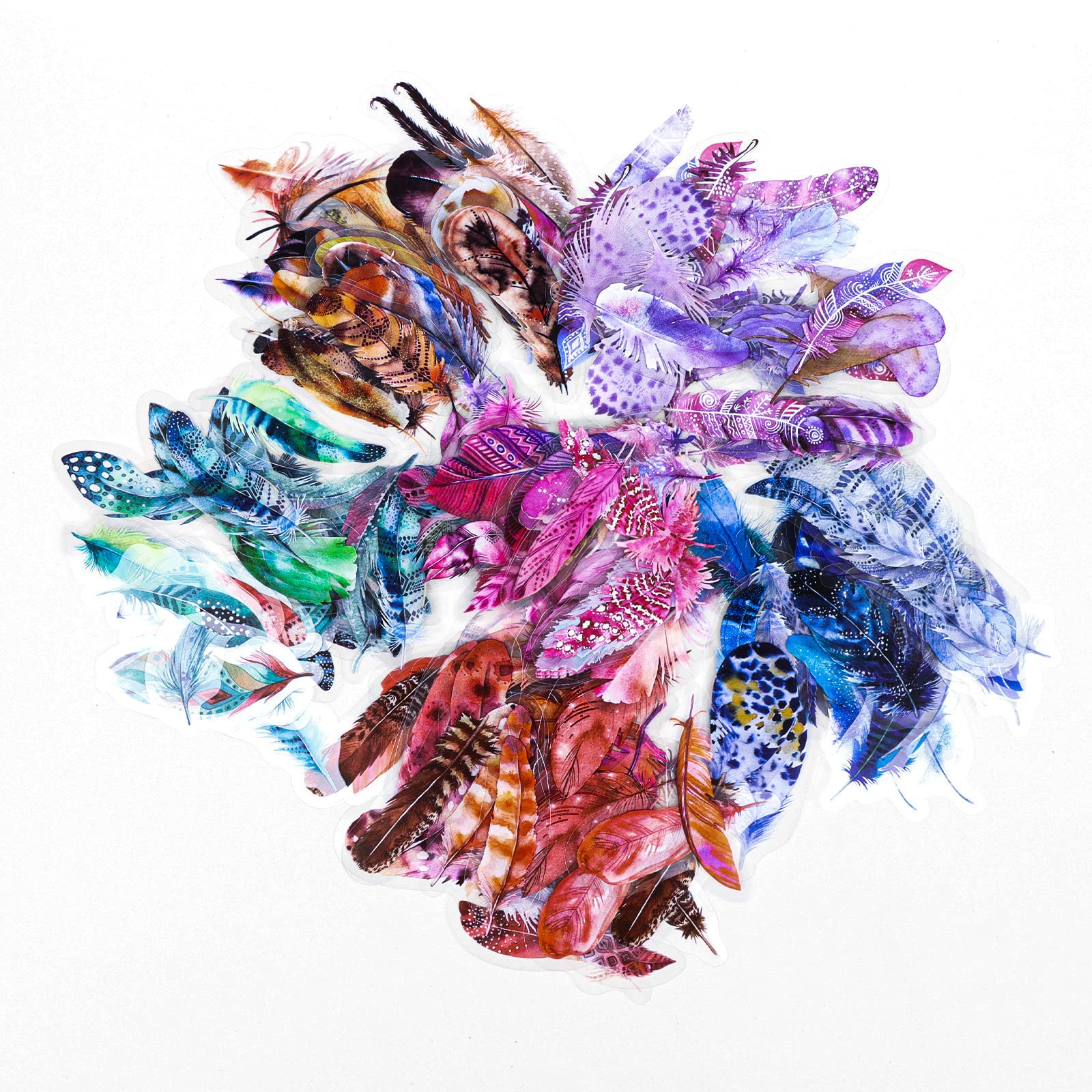 Amazon.com: WENSIDUO 240 Pcs Transparent Feather Stickers Set 6 Styles ...