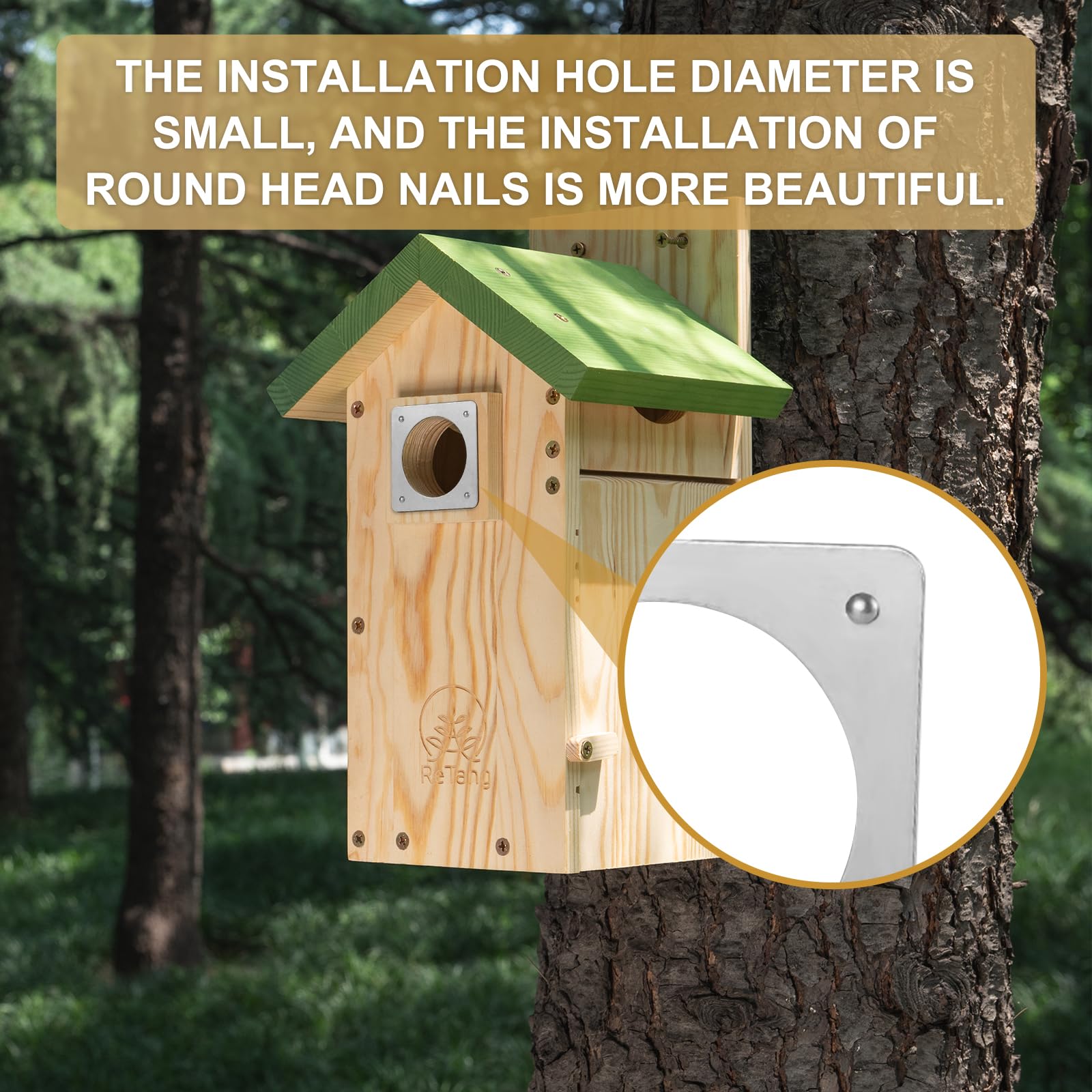 Snake Predator Guard Bluebird House