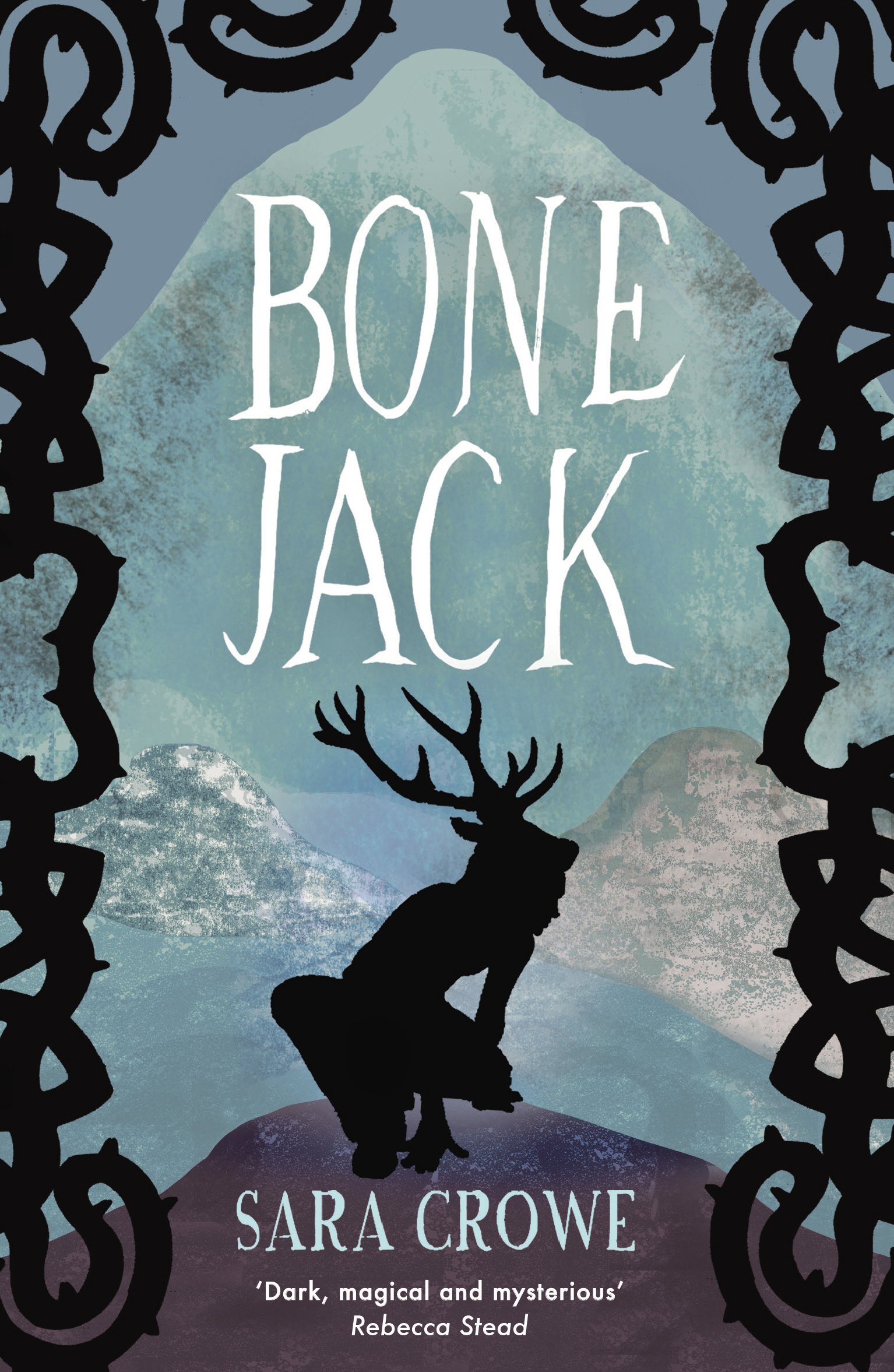 Bone Jack : Crowe, Sara: Amazon.co.uk: Books