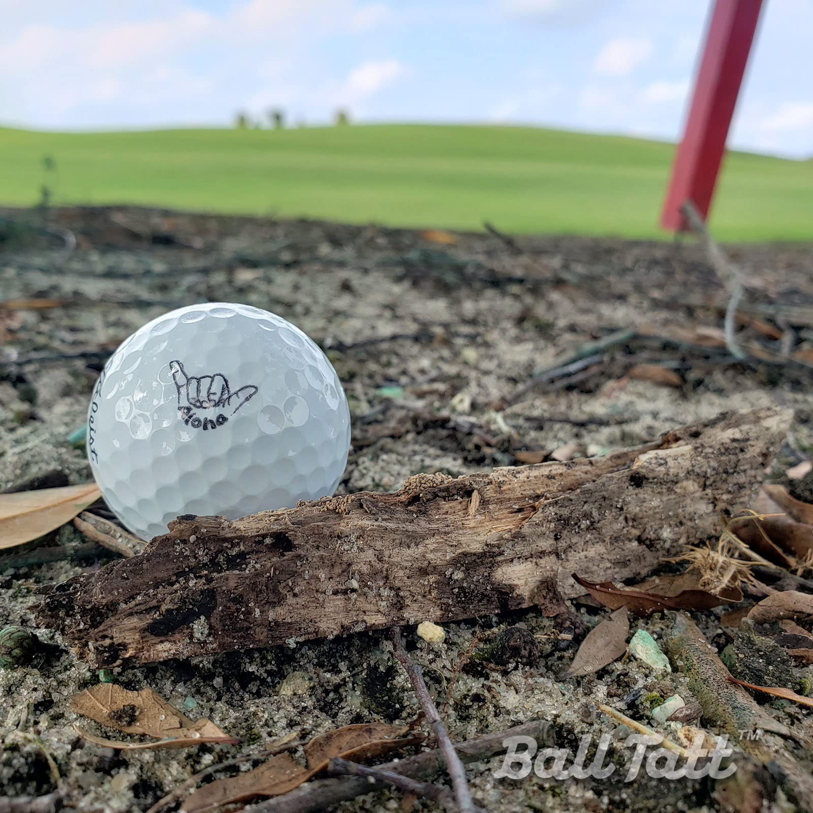 Snapklik.com : Aloha Golf Ball Stamp, Golf Ball Stamper, Self-Inking ...