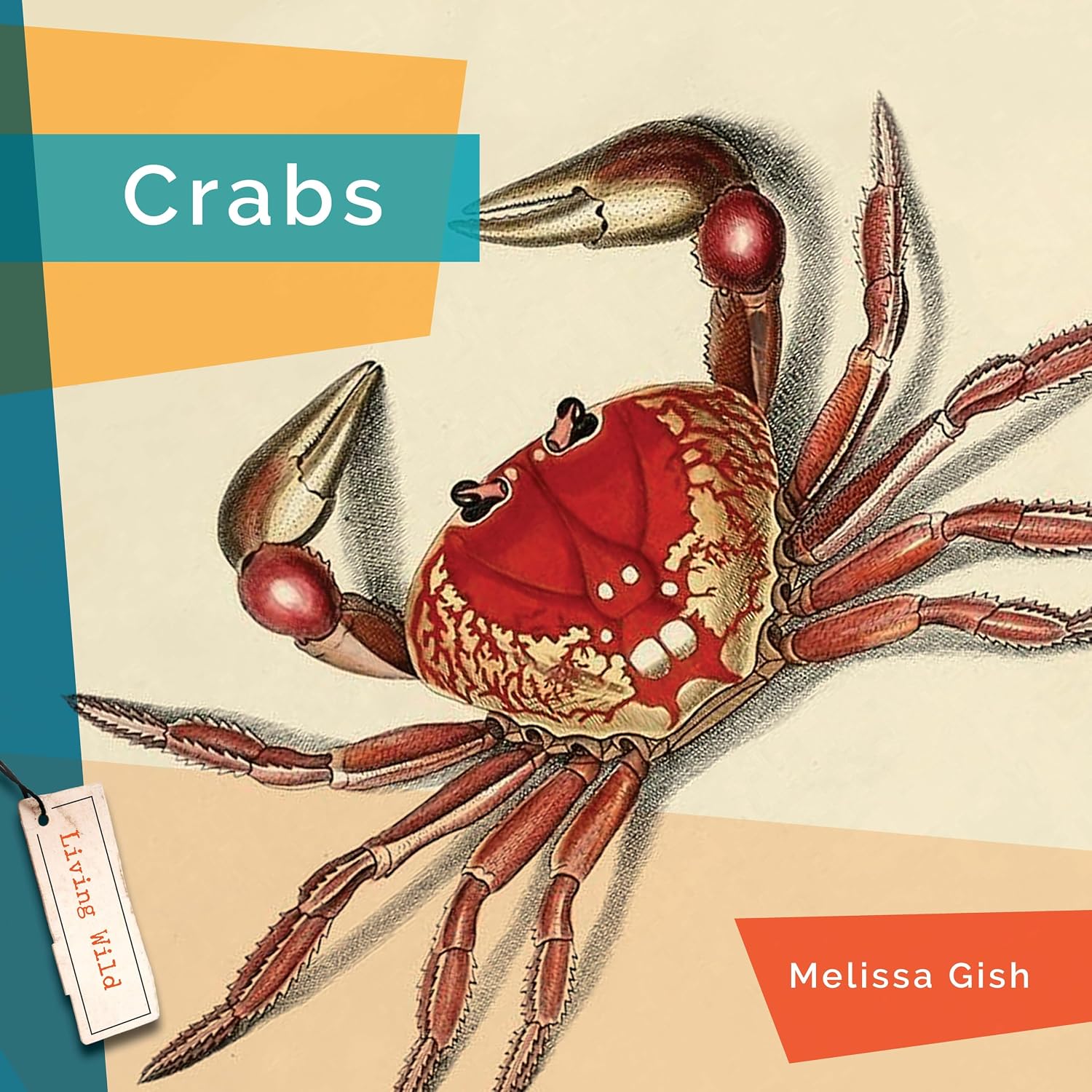 Crabs (Living Wild): Gish, Melissa: 9781640267770: Amazon.com: Books