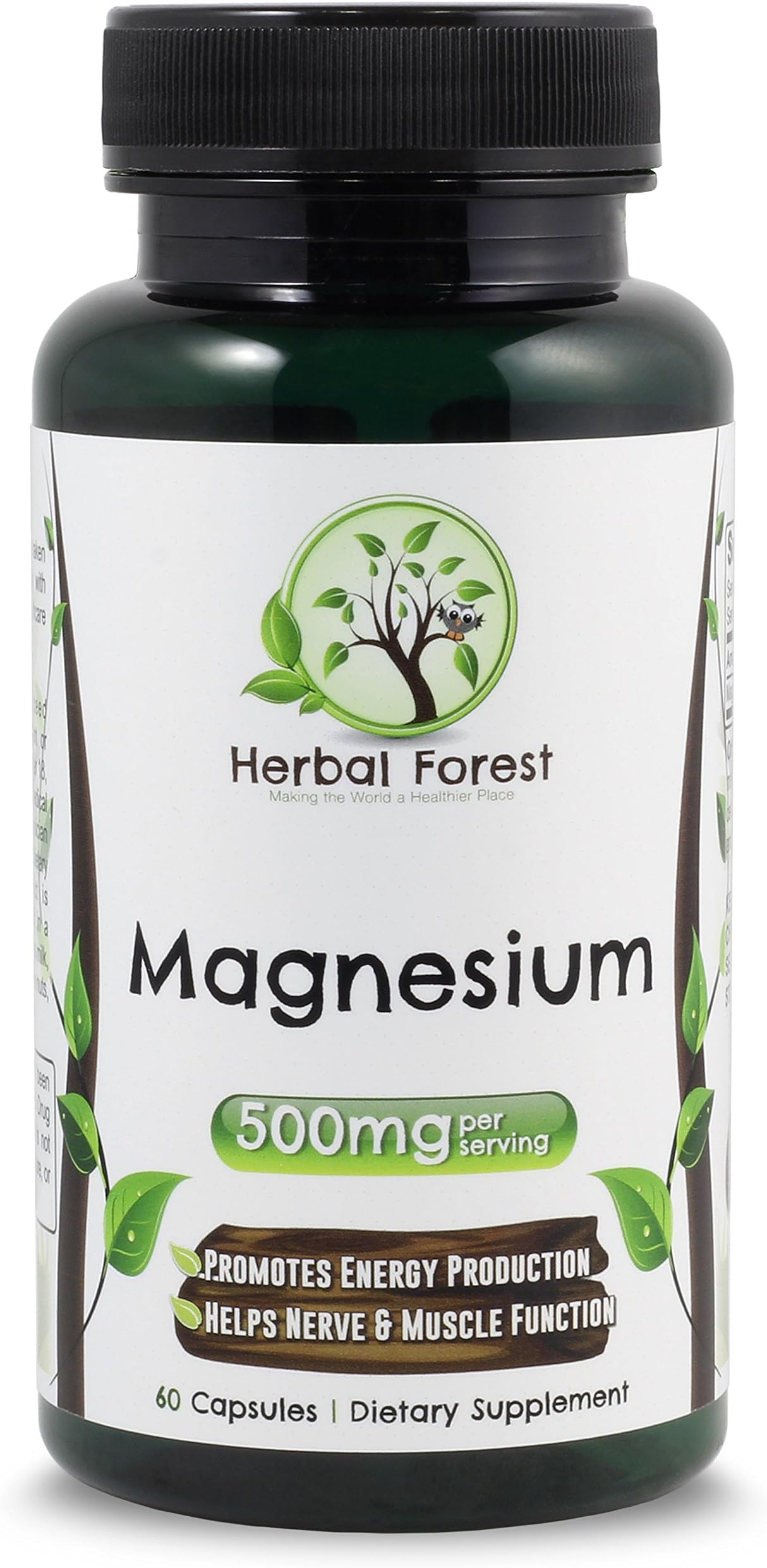 Amazon.com: Magnesium 500 mg : Health & Household