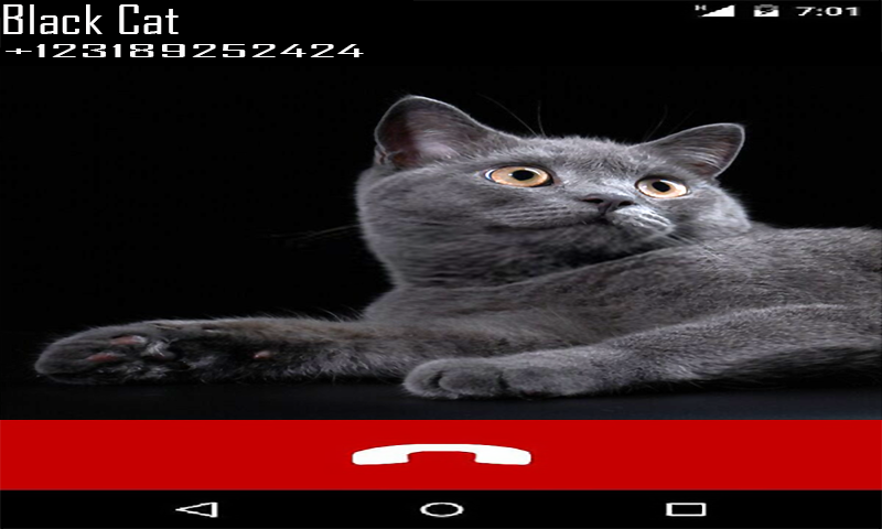 Scary Cat Fake Call Prank and Texting ( Funny Fake Black Cat Joke For ...