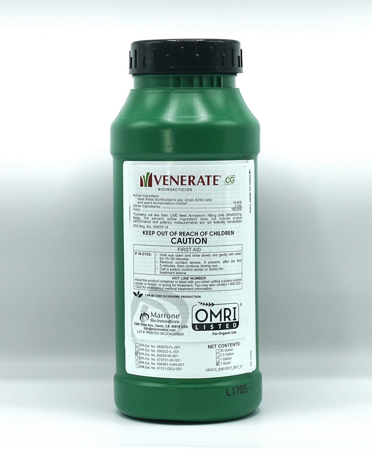 Amazon.com: Marrone Bio Innovations CG Bioinsecticide Insecticide for ...