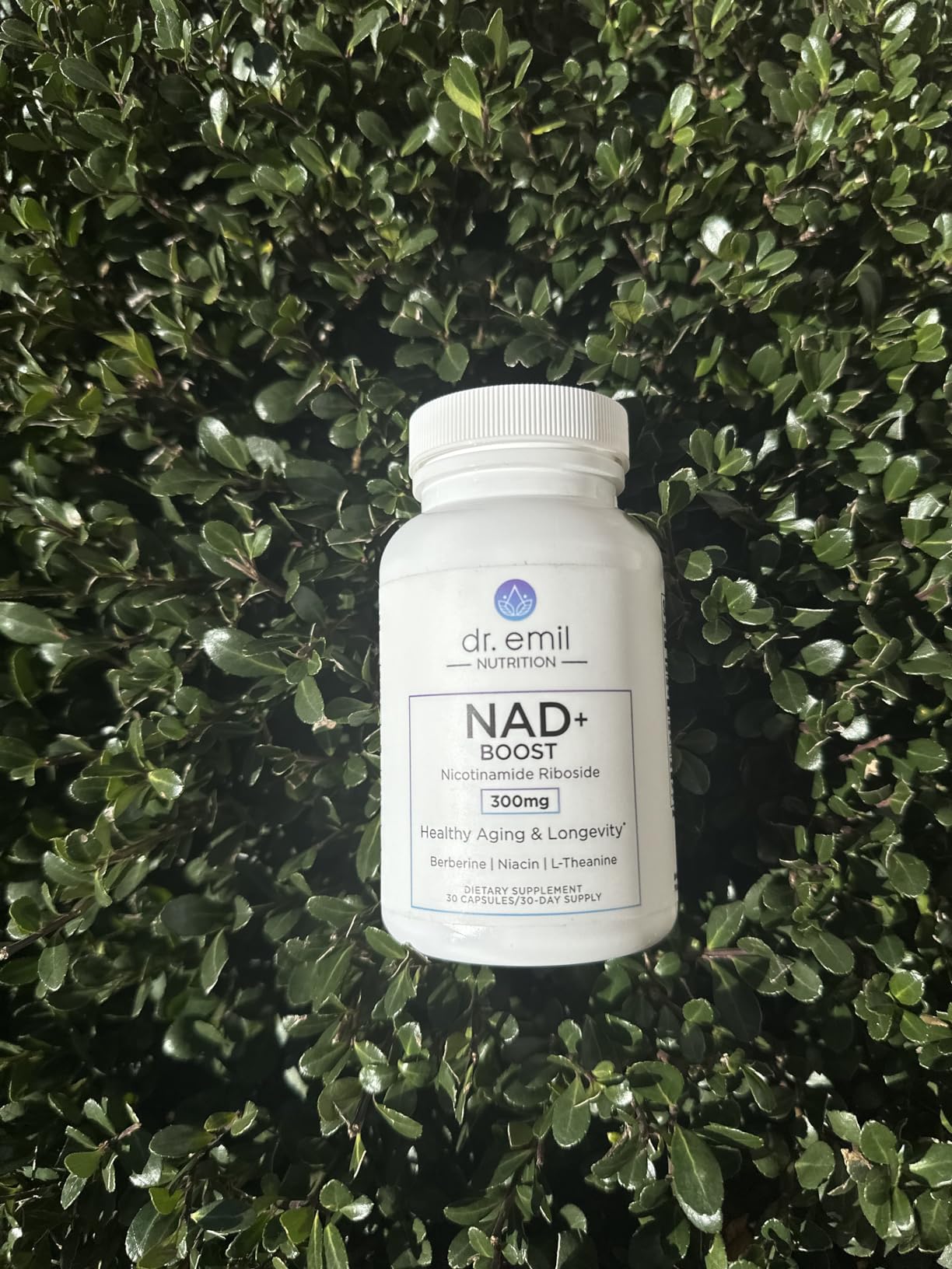 Amazon.com: DR. EMIL NUTRITION NAD+ Boost - Nicotinamide Riboside ...