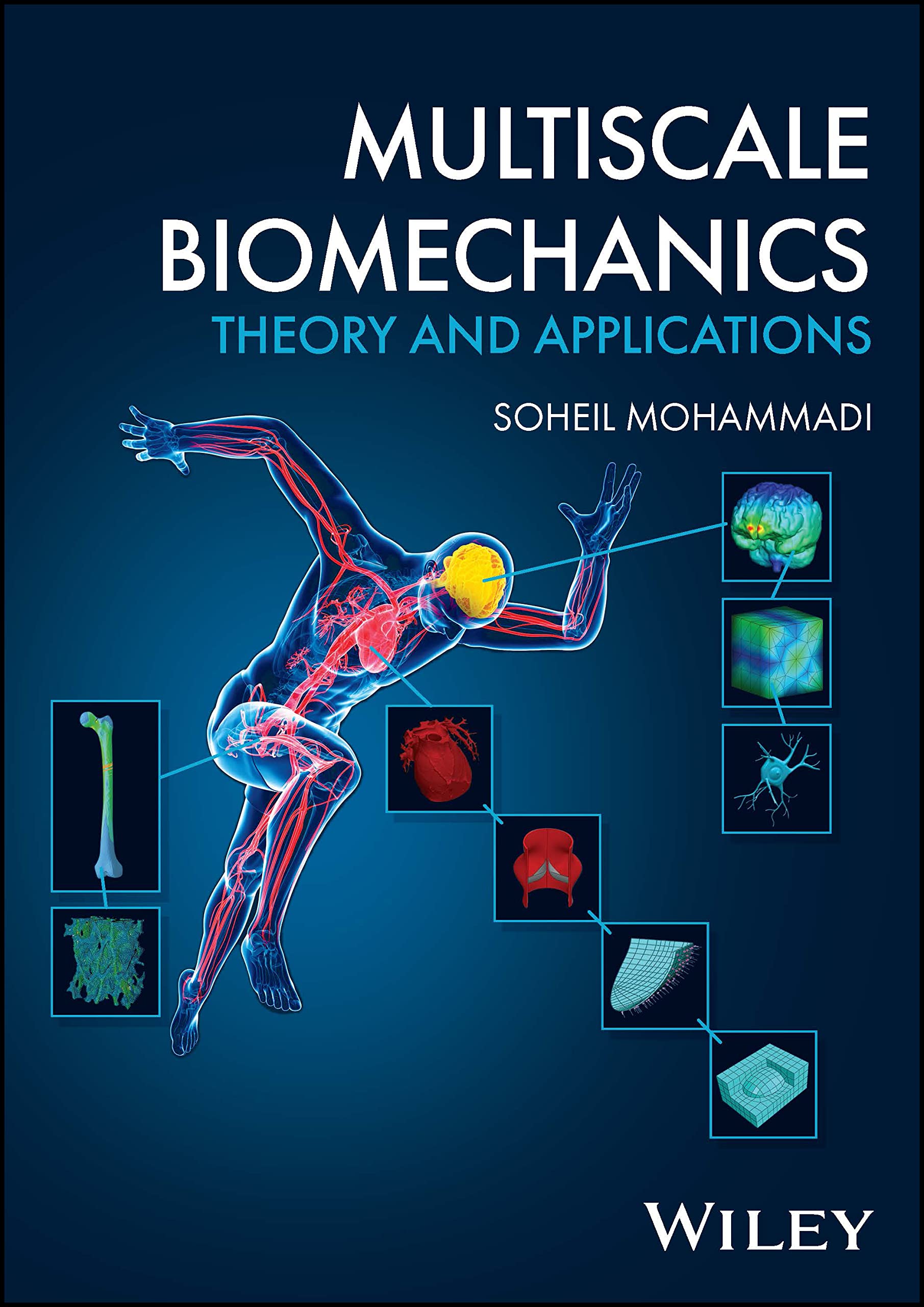 Multiscale Biomechanics: Theory and Applications: Mohammadi, Soheil ...