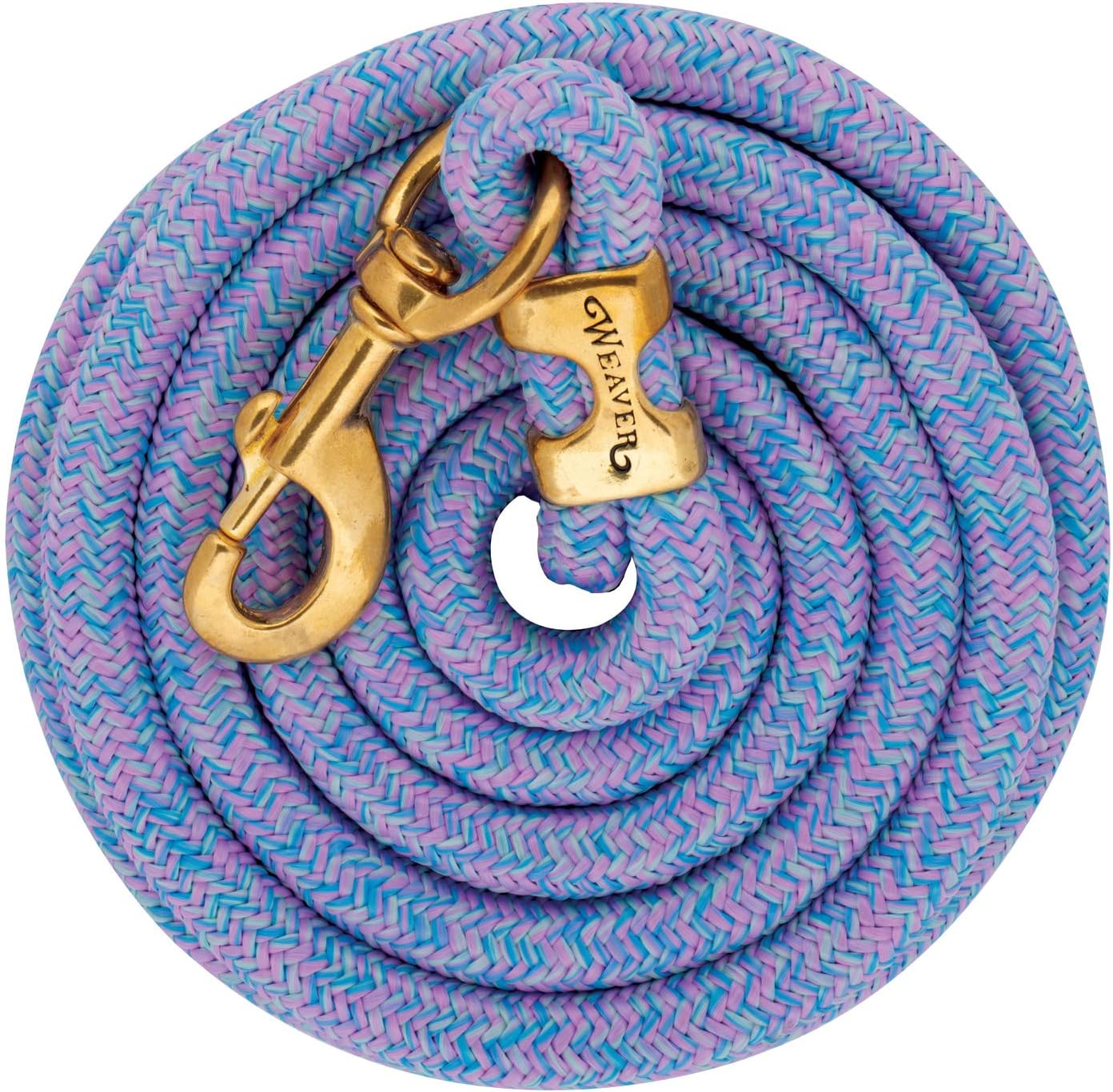 Amazon.com: Hamilton Extra Heavy Poly Rope Lead with Bull Snap, Teal ...