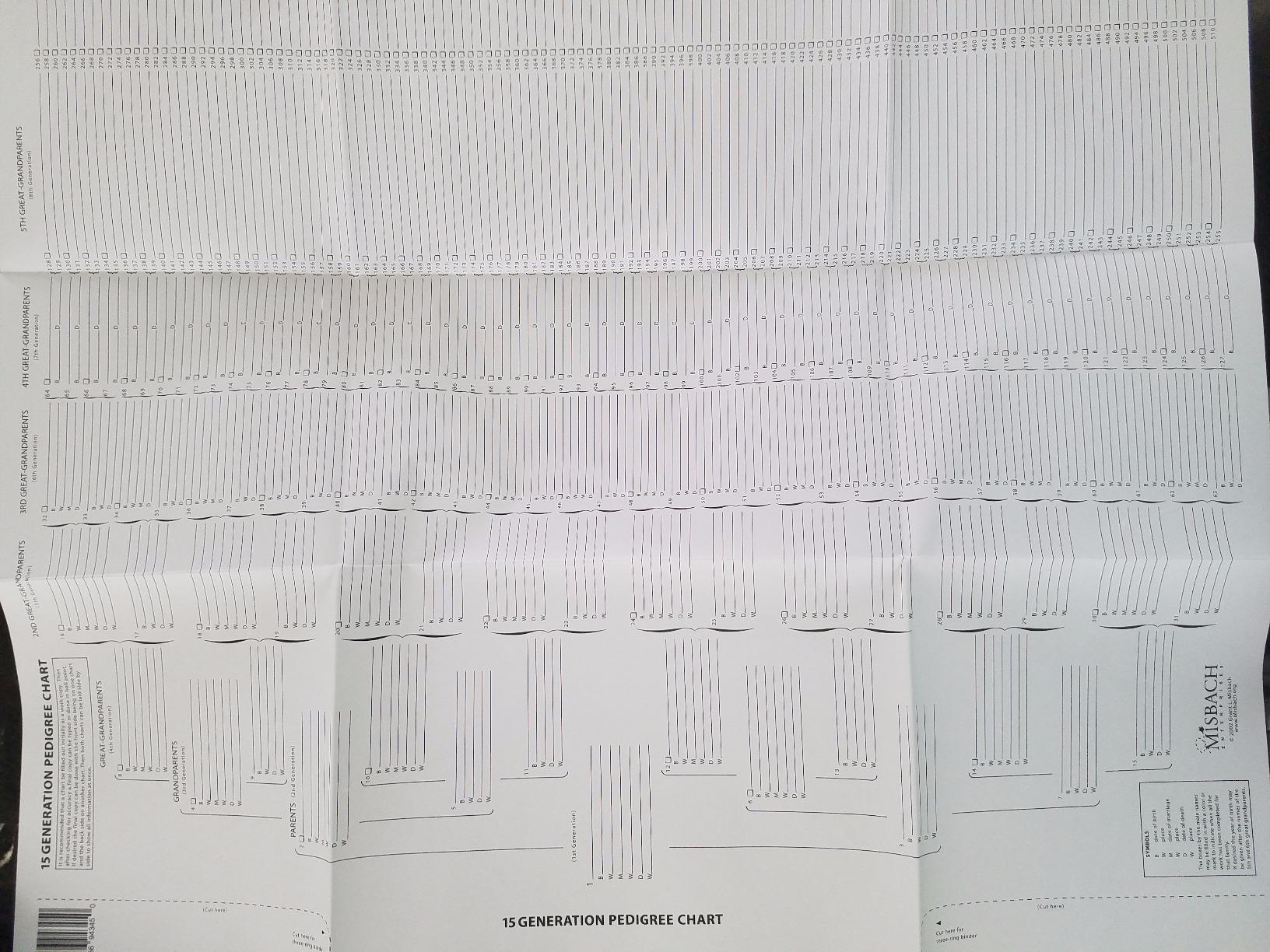 Amazon.com: TreeSeek® 15 Generation Pedigree Chart | Blank Genealogy ...