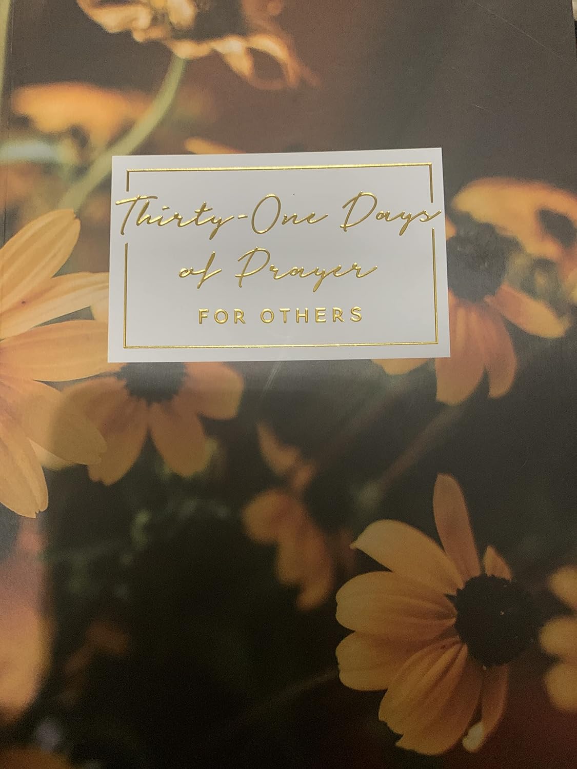 Thirty-one Days of Prayers For Others: Alexa Hess: 9781954742260 ...