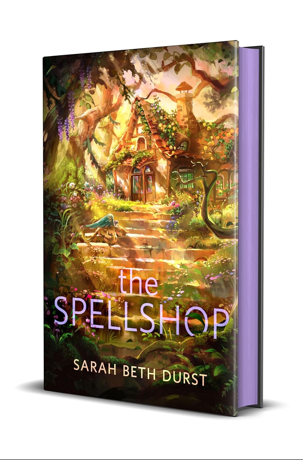 The Spellshop: Durst, Sarah Beth: 9781250333971: Amazon.com: Books