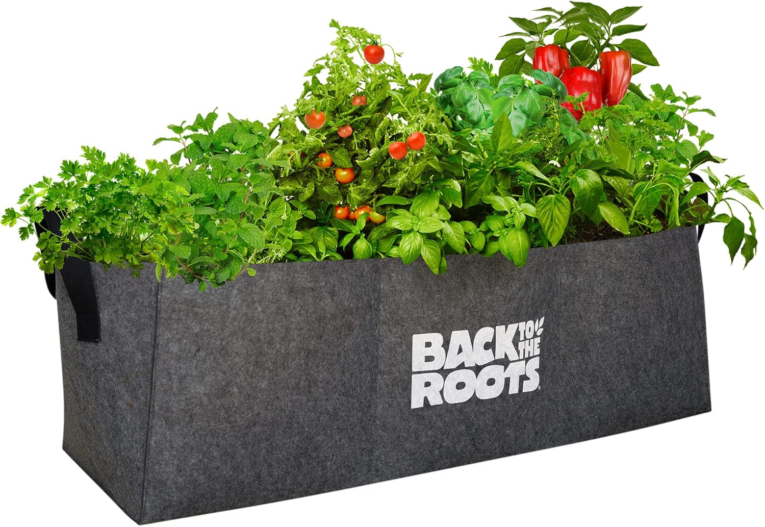 Back to the Roots Reusable Fabric Grow Bed for Herbs, Vegetables ...