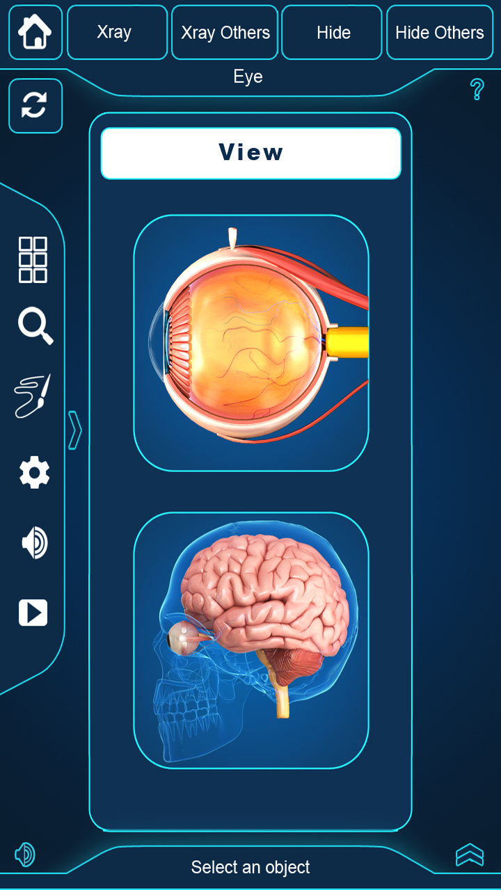 My Eye Anatomy - App on Amazon Appstore