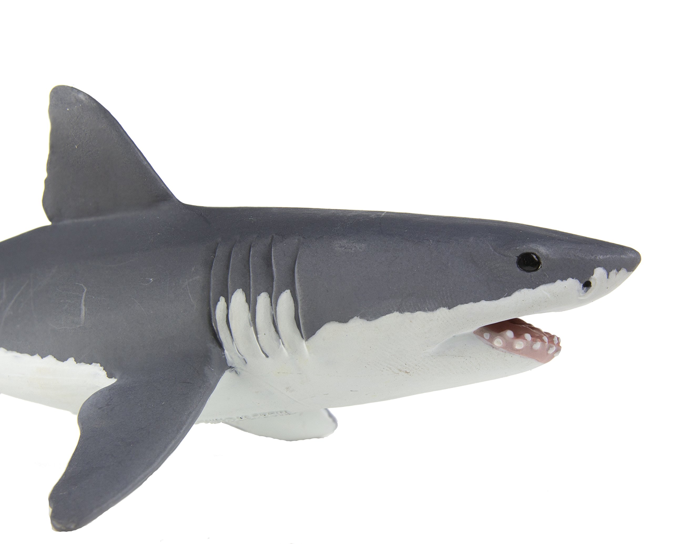 Buy Safari Ltd. Sea Life Collection - Realistic Great White Shark Toy ...