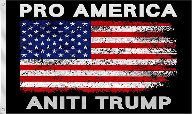 Amazon.com : Pro America Anti T Flag Funny Anti Donald T 2024 Flag 3x5 ...