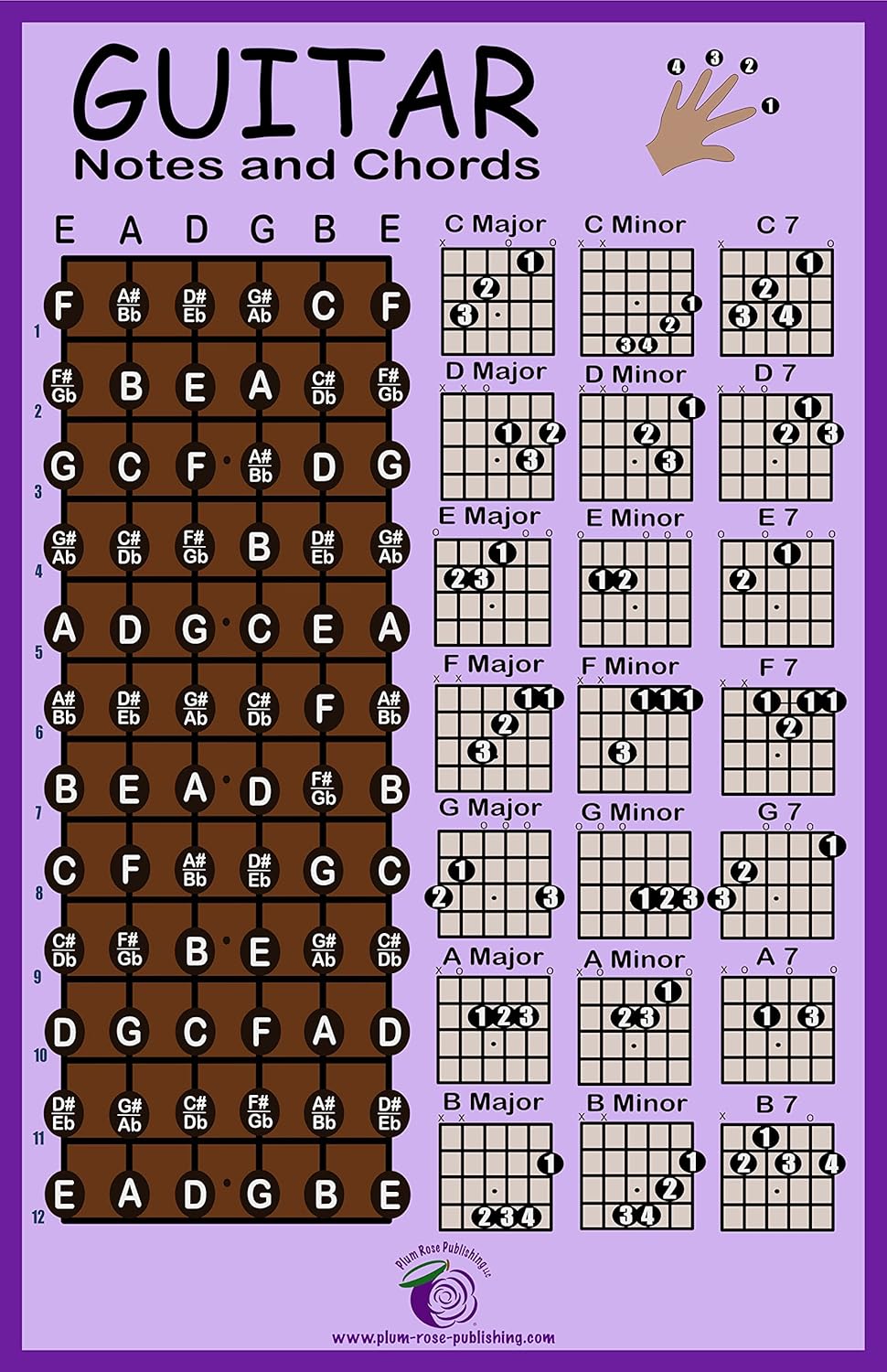 Amazon.com - PLUM ROSE Guitar Chord Poster (11x17) - Guitar Chord Chart ...