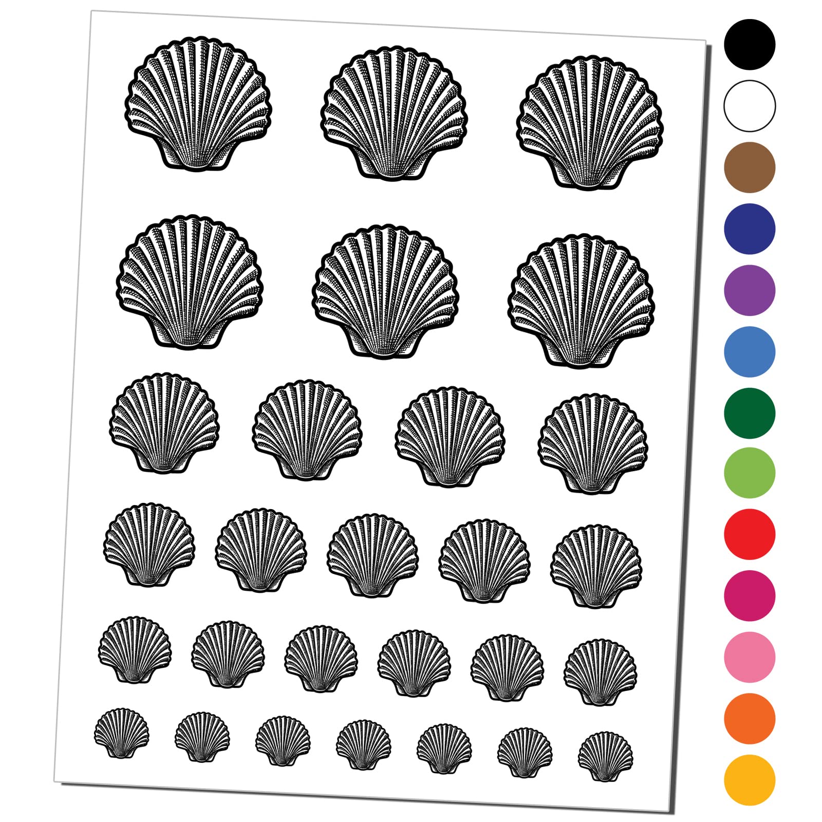 Amazon.com : Scallop Seashell Hashmark Shaded Beach Shell Temporary ...
