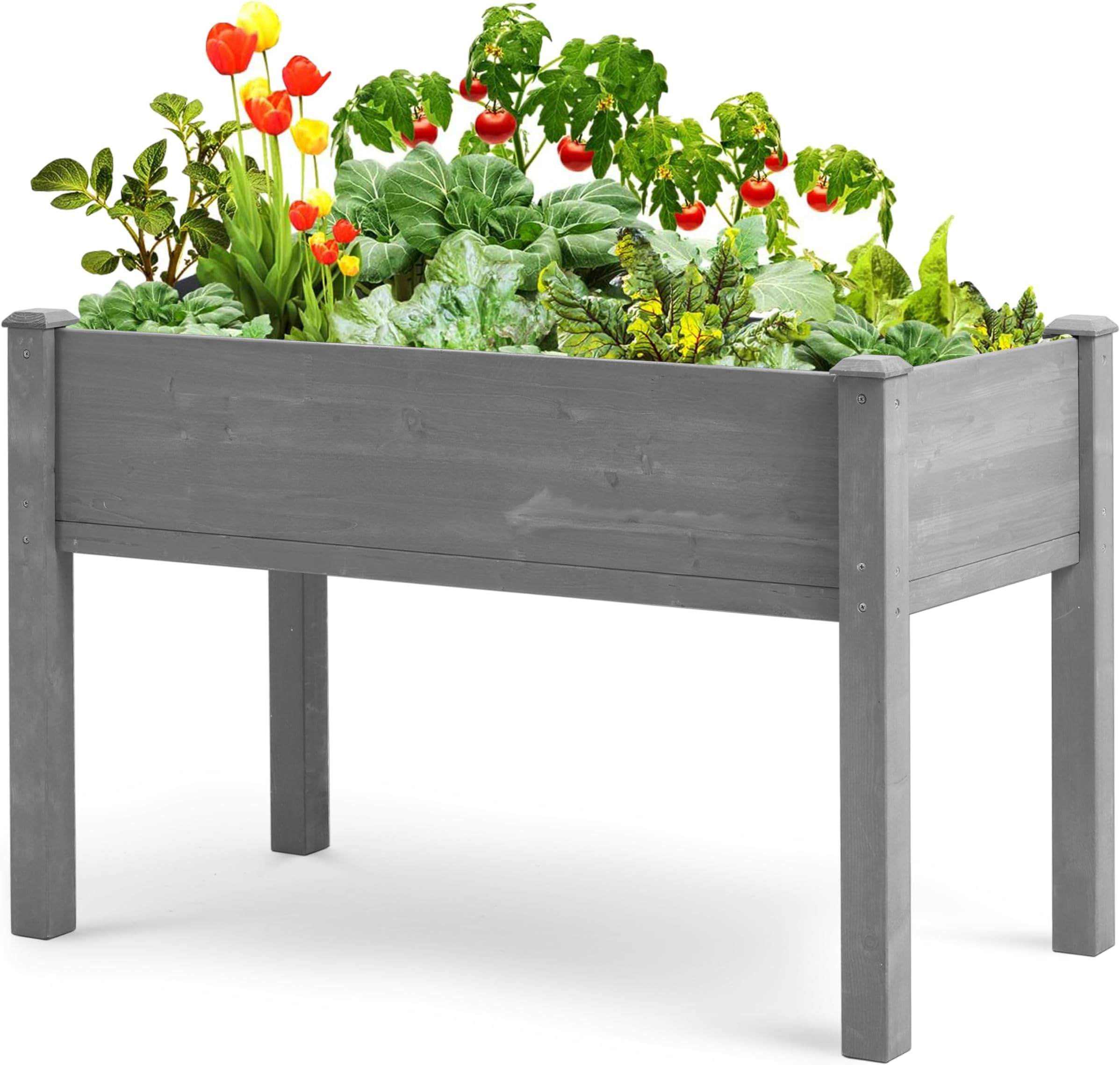 Amazon.com: Quictent Raised Garden Bed with Cover Bundle with 48x24x30 ...