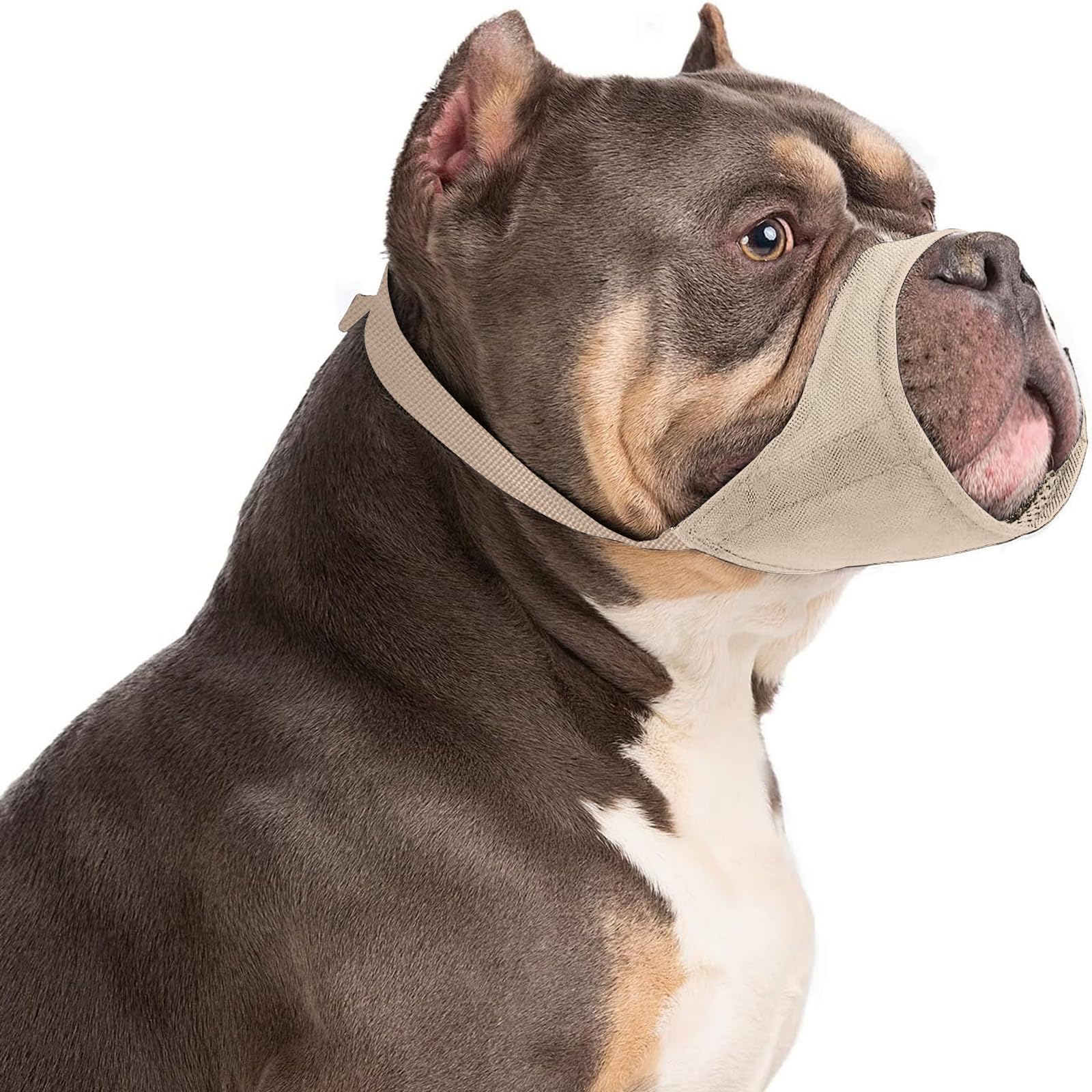 HYHIOTS Dog Muzzle for Small Dog, Short Snout Muzzles for Chihuahua ...