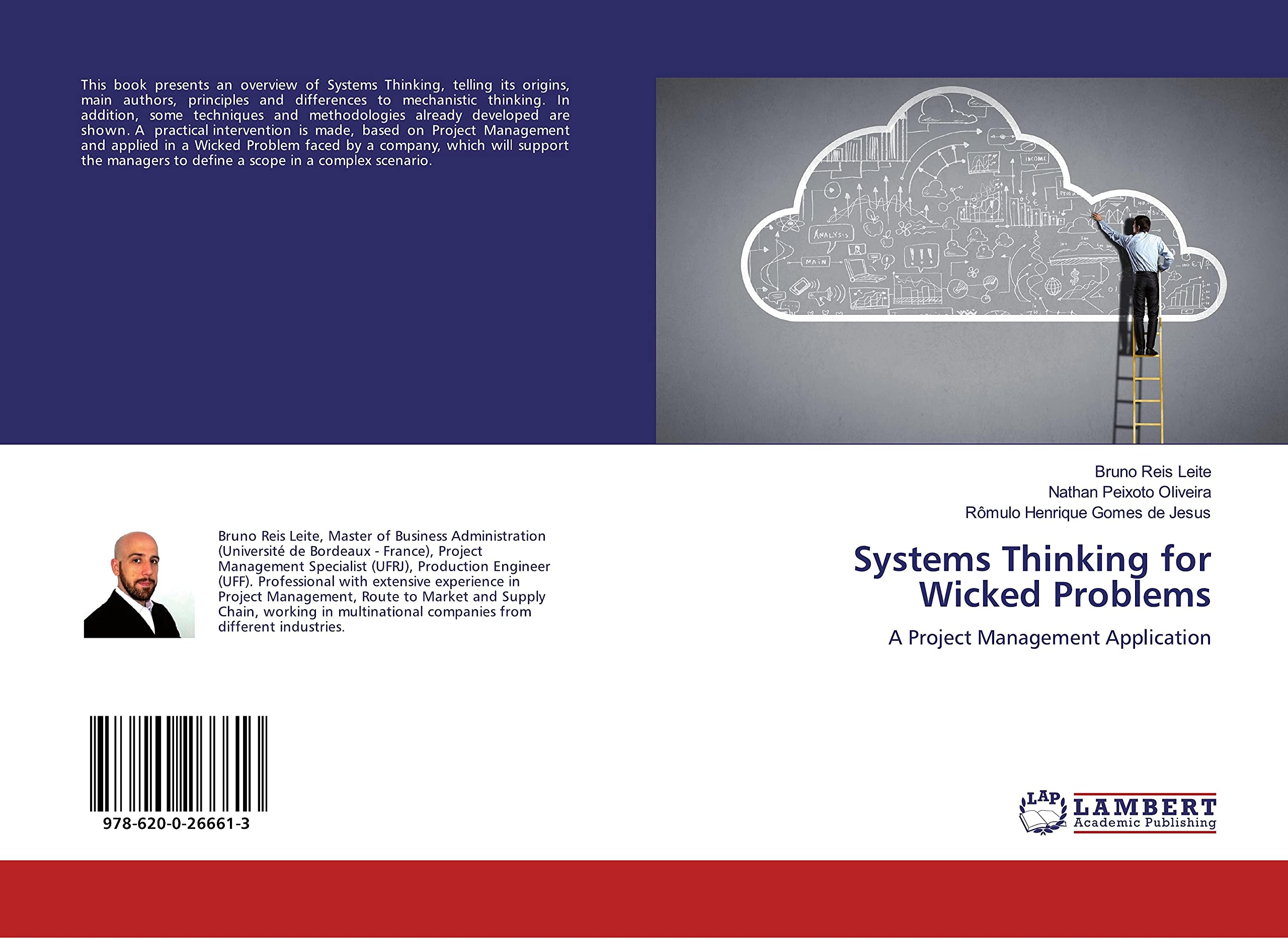 Systems Thinking for Wicked Problems: A Project Management Application ...