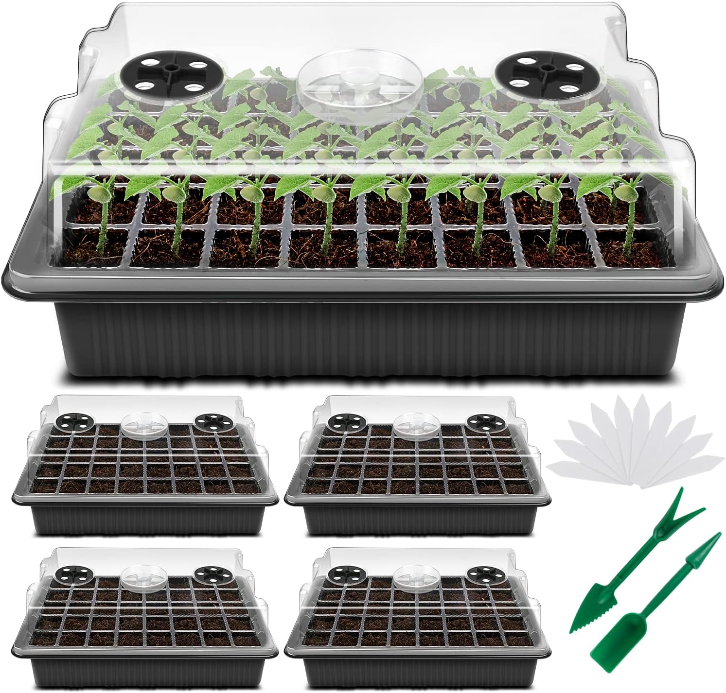 YAUNGEL Seed Trays, Thicken Propagator XL Growing Seedling Starter ...