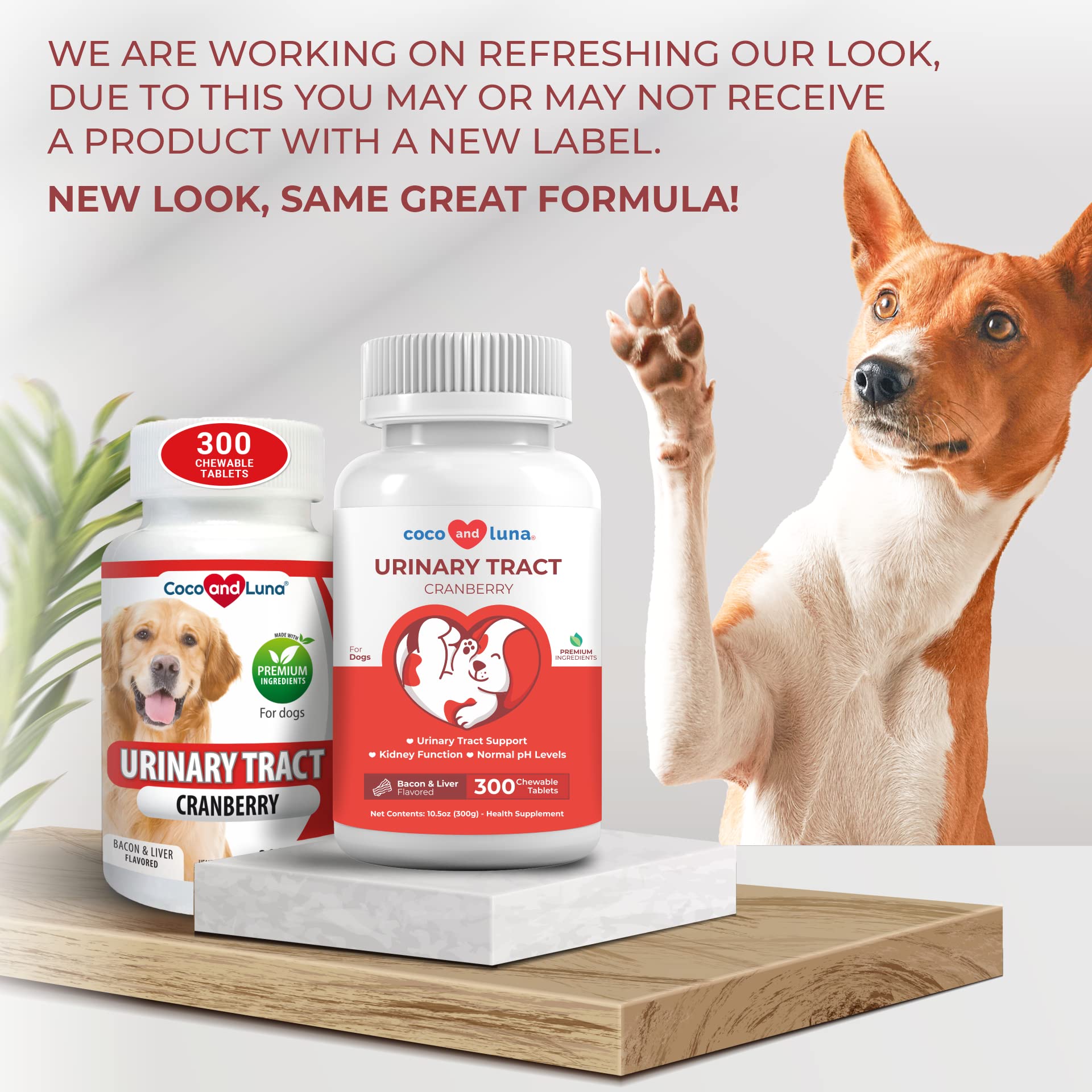 Dogs Normal Ph Level