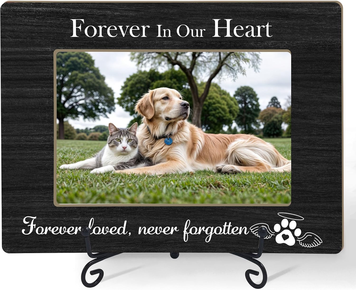Amazon.com - lamocho Pet Frames In Loving Memory, Pet Memorial Frame ...